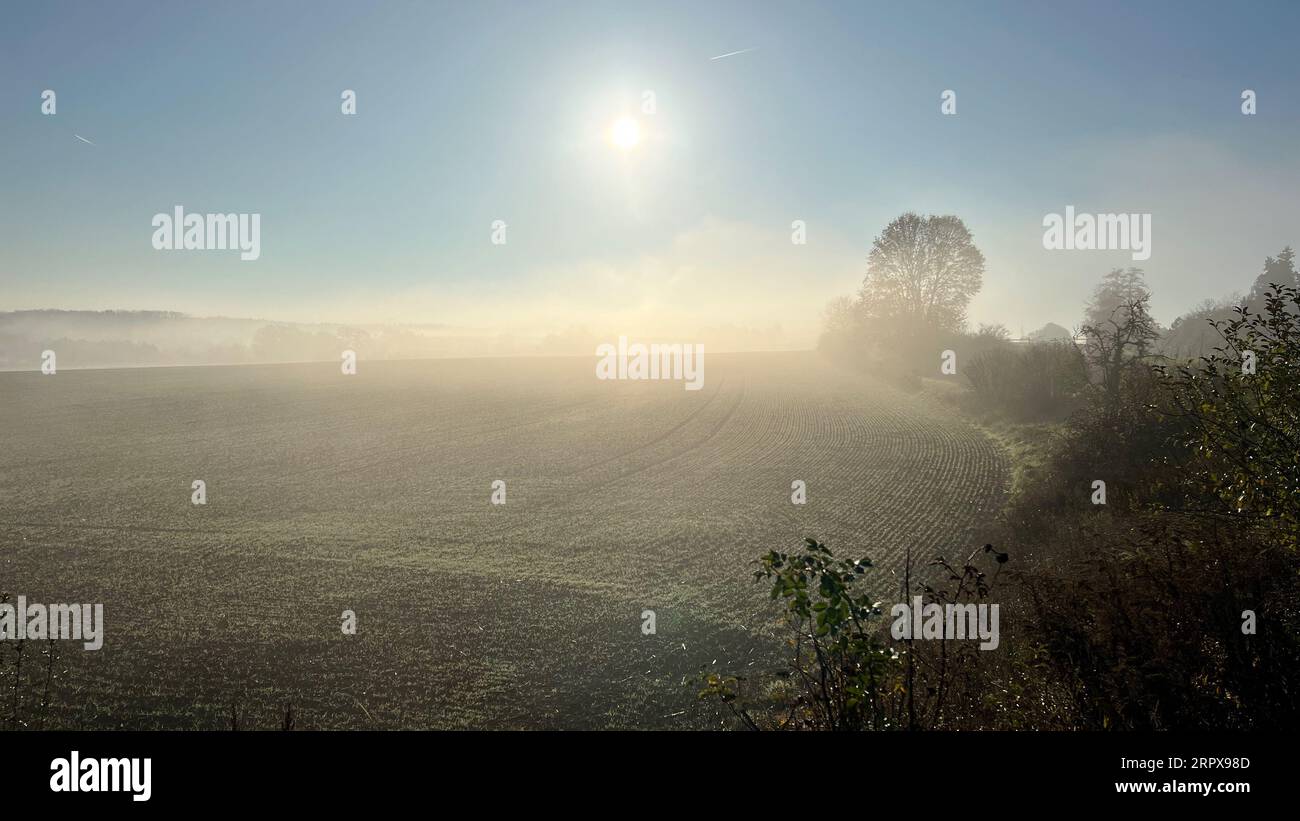 Quality photo for desktop wallpaper hi-res stock photography and images ...