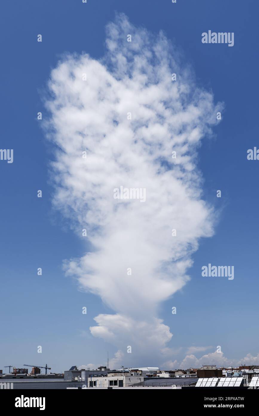 Cumulonimbus or cumulonimbus clouds are highly vertically developed ...