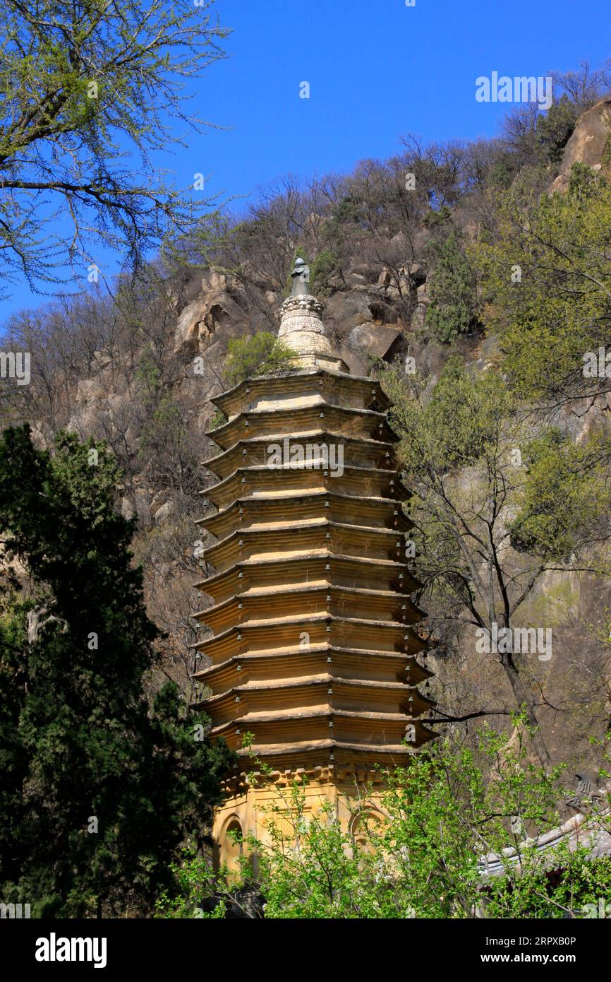 Pagodas and buddhist relics hi-res stock photography and images - Alamy
