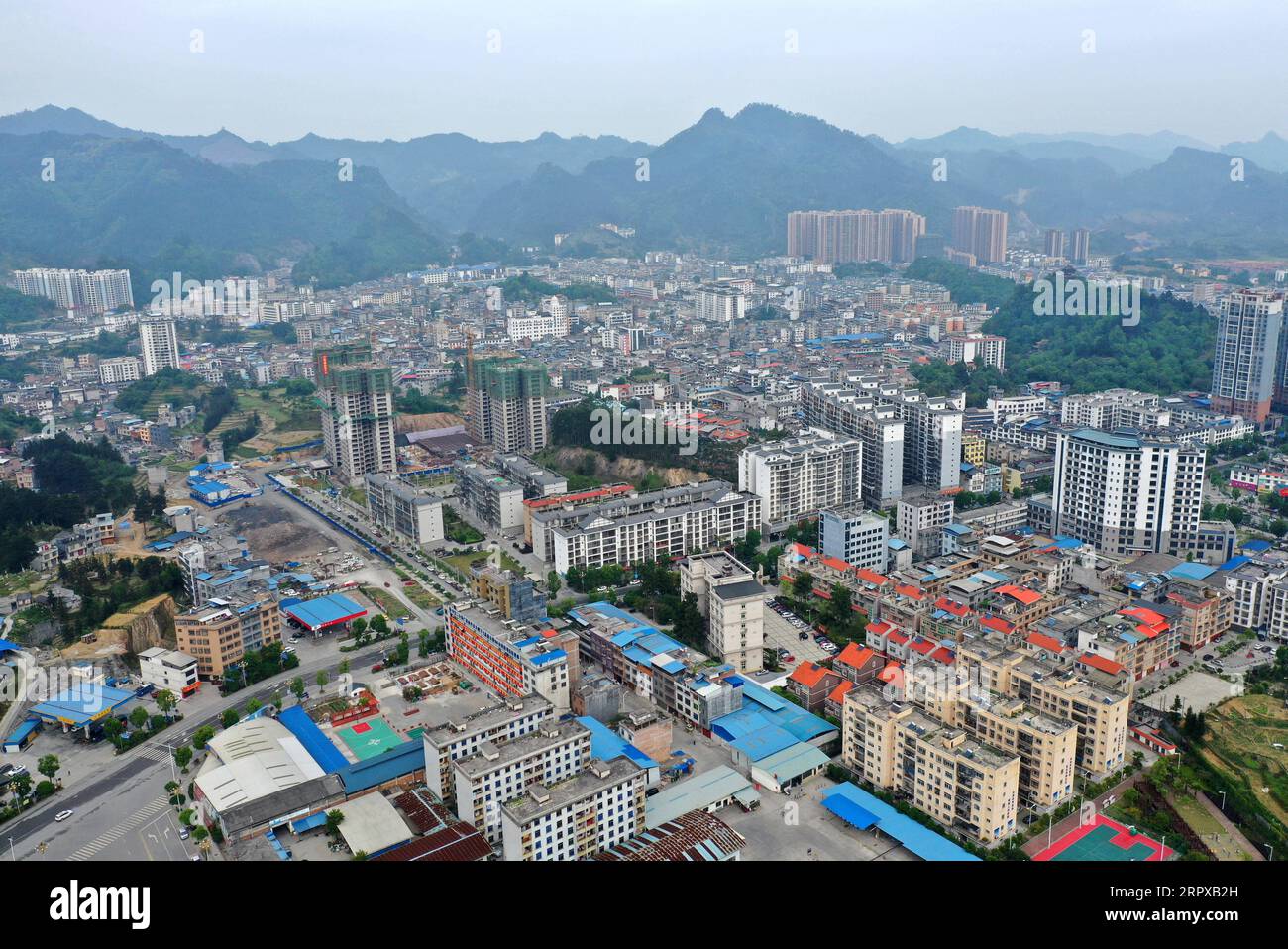 A humid subtropical forest hi-res stock photography and images - Alamy