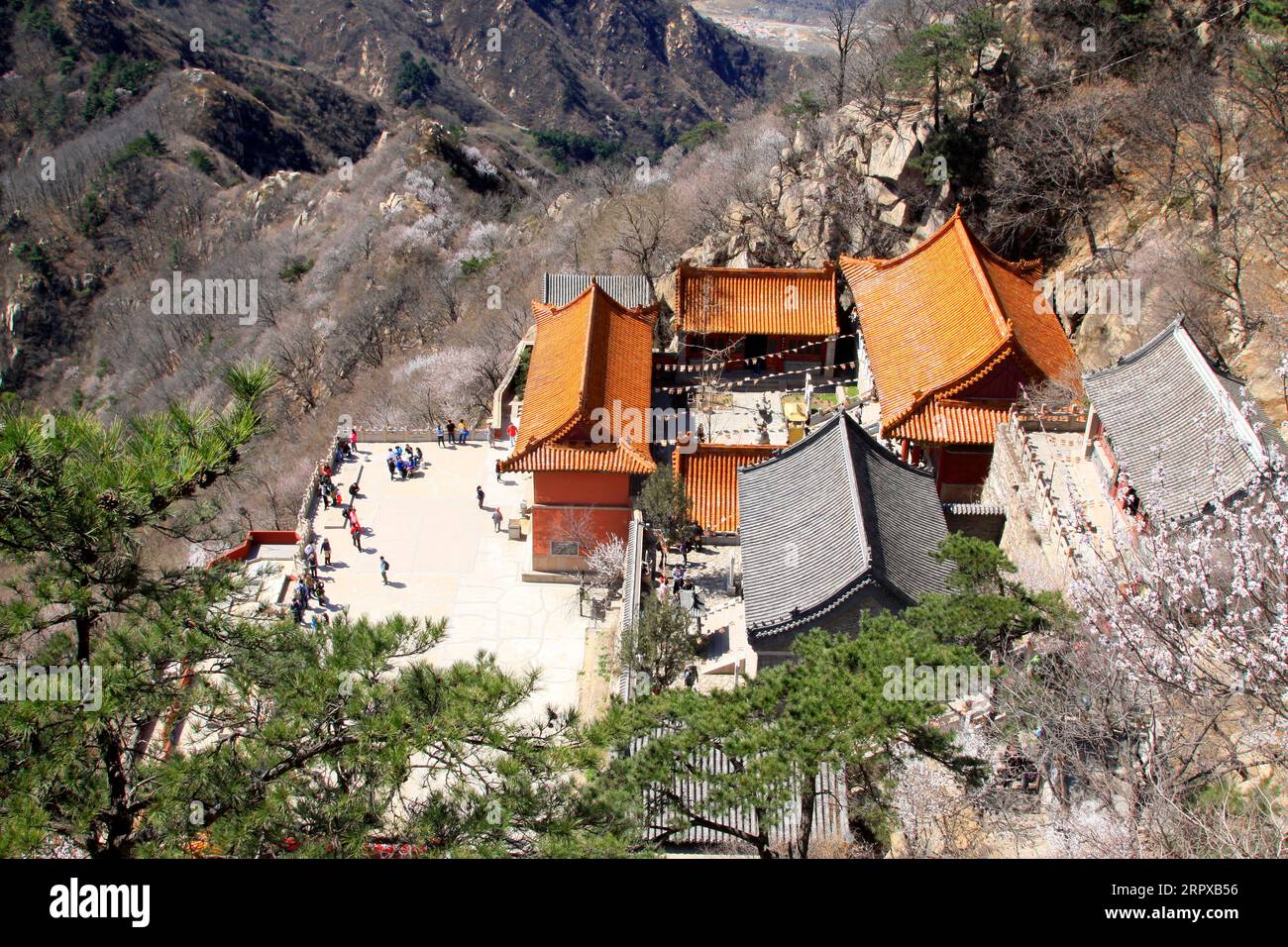 traditional Chinese style temple architecture, tianjin, china Stock ...