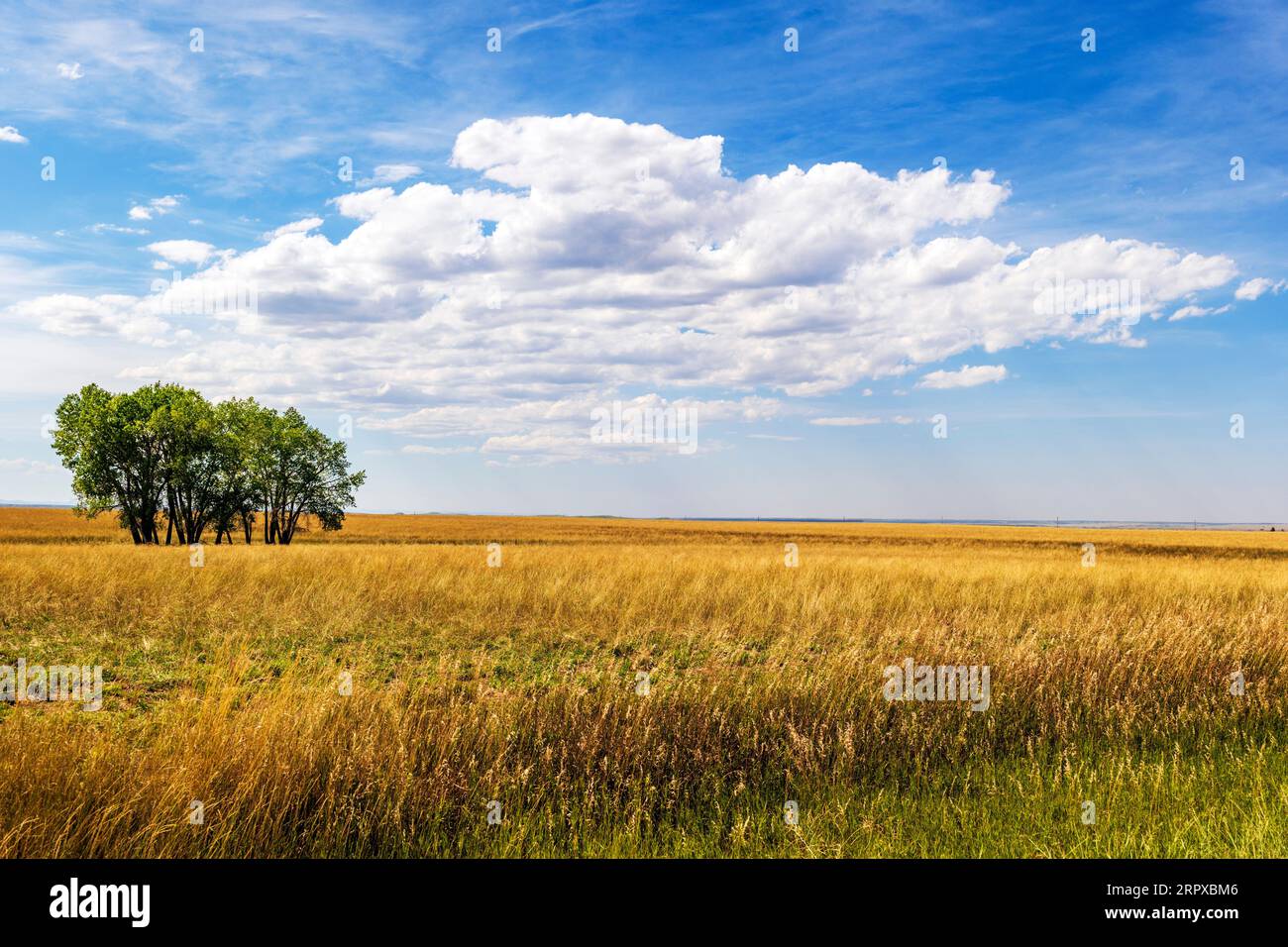 Farm fields; Badlands; South Dakota; USA Stock Photo - Alamy