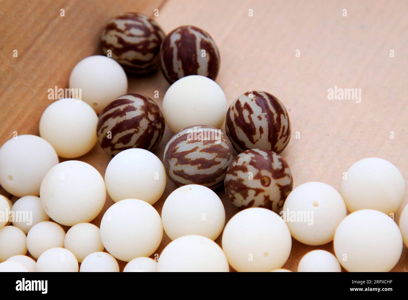 Fruits numerous seeds hi-res stock photography and images - Alamy