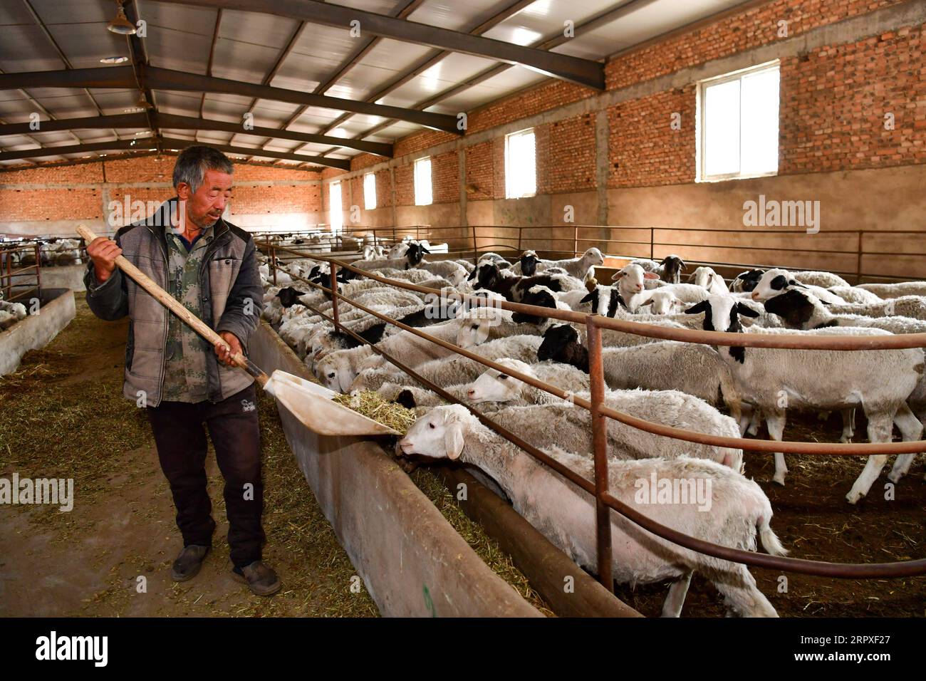 Focuschina shanxi poverty hi-res stock photography and images - Alamy