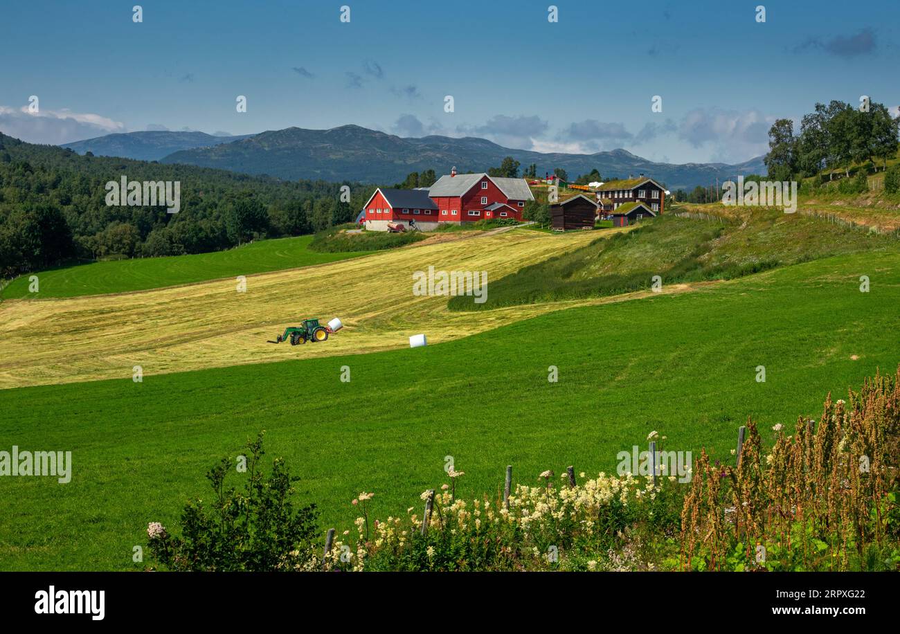 A typical Norwegian farm with red buildings and set in beautiful ...