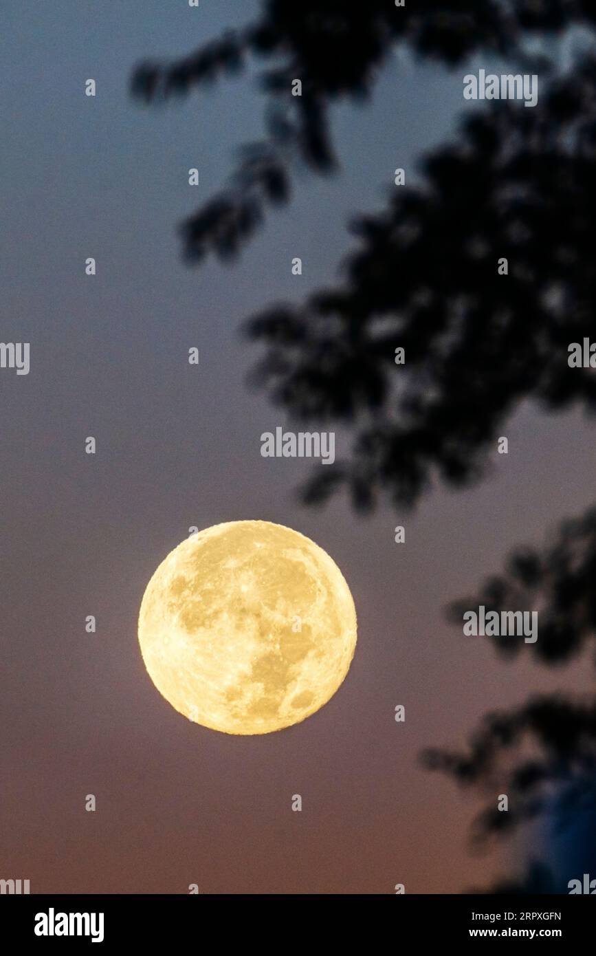 Super Blue Full moon setting over Rocky Mountains, Salida, Colorado ...