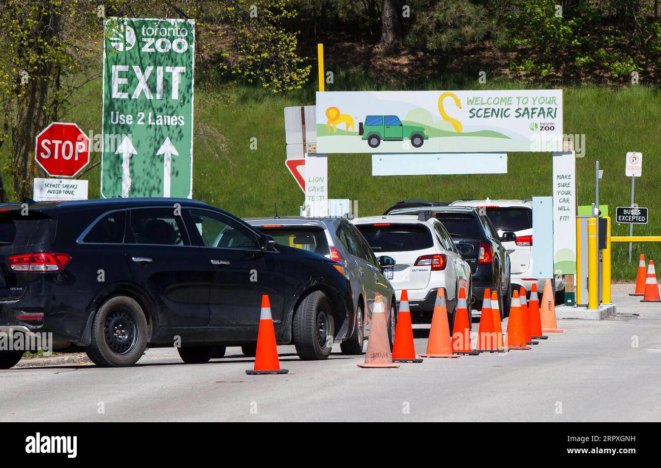 Drive through zoo hi-res stock photography and images - Alamy