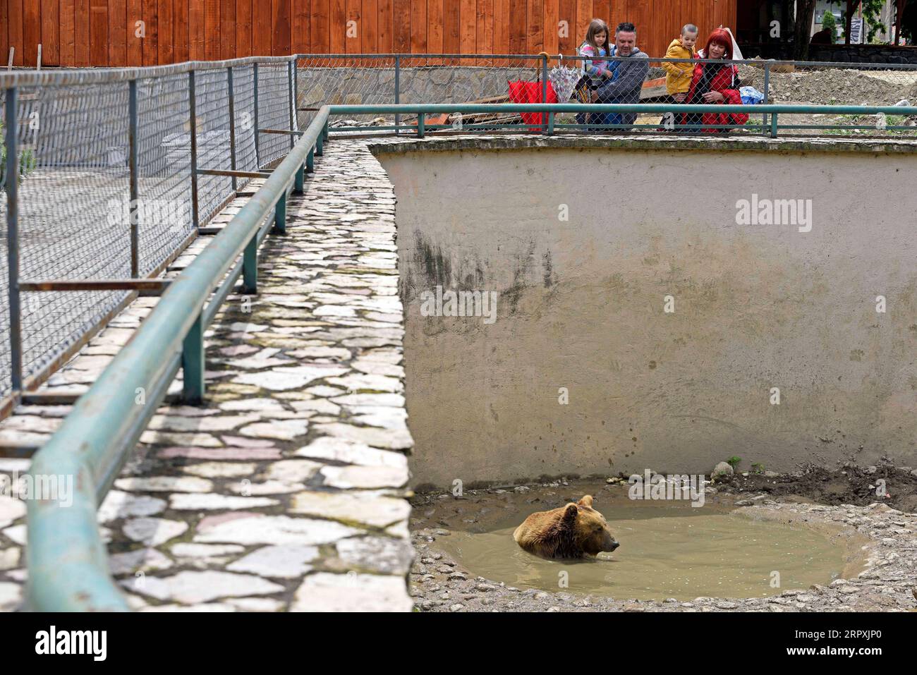200527 -- SKOPJE, May 27, 2020 Xinhua -- Visitors look at a bear at ...