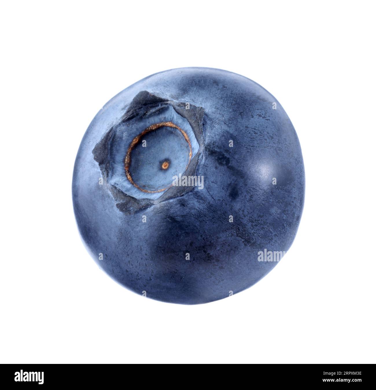 One fresh ripe blueberry isolated on white Stock Photo - Alamy