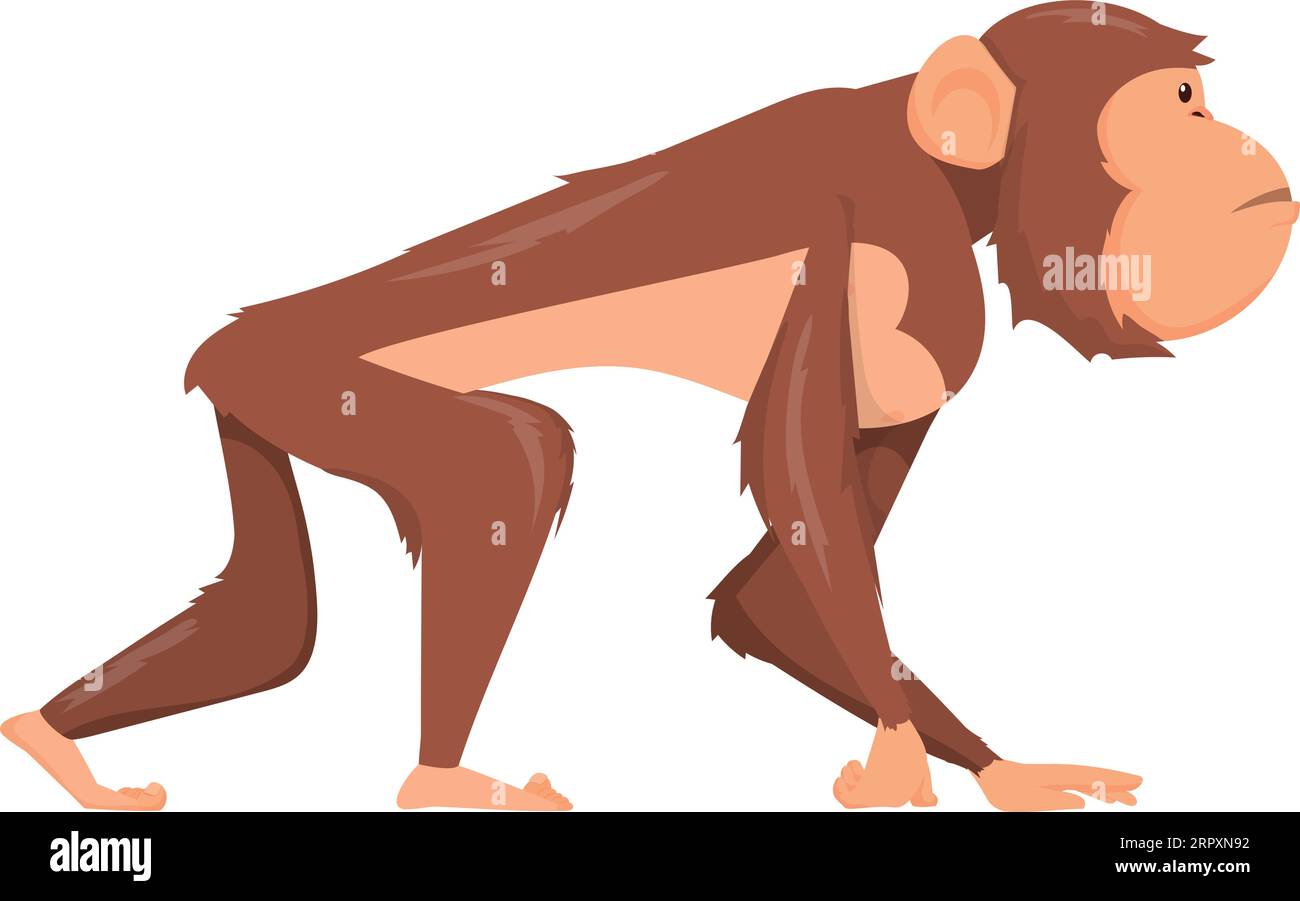 Monkey walking side view. Jungle animal. Wild primate Stock Vector ... Monkey walking side view. Jungle animal. Wild primate Stock Vector ...