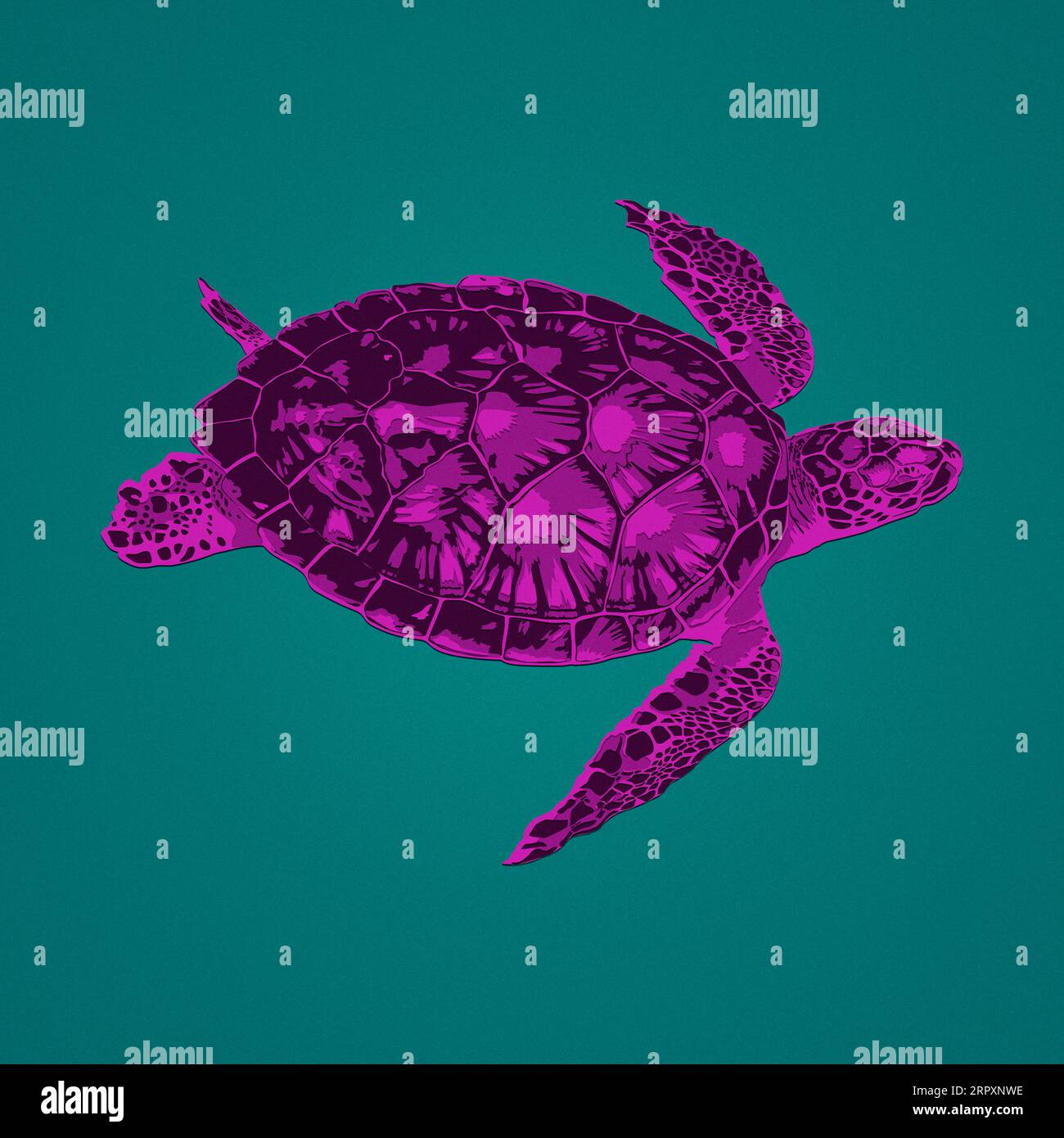Creative animal concept - Artistic illustration of a large swimming sea ...