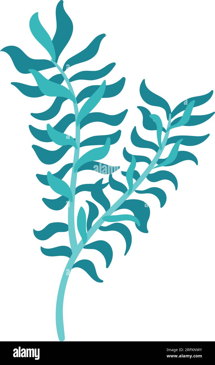 Aquatic botany Cut Out Stock Images & Pictures - Alamy