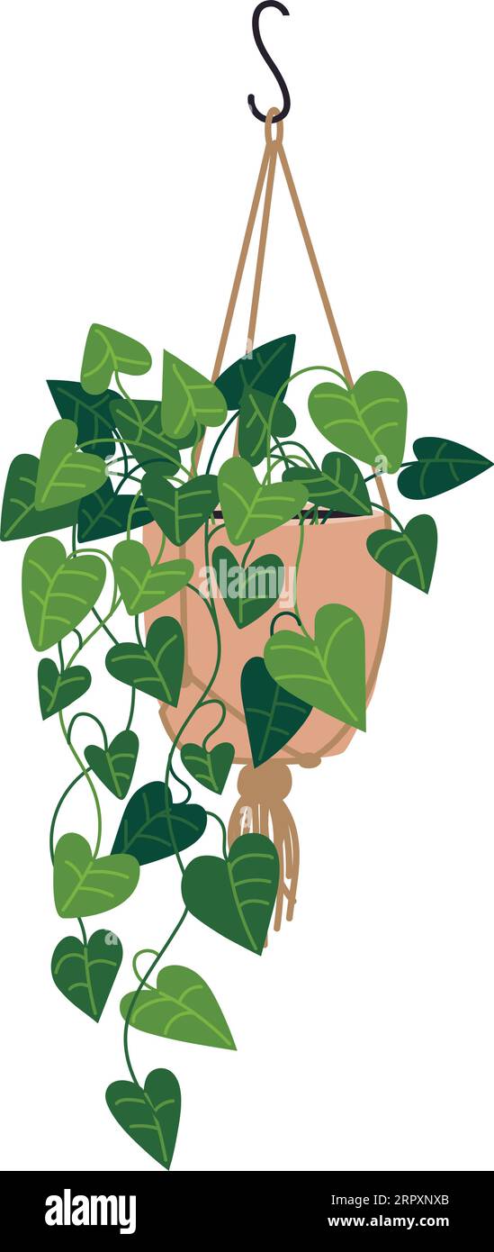 Colorful leaves marble queen Cut Out Stock Images & Pictures - Alamy