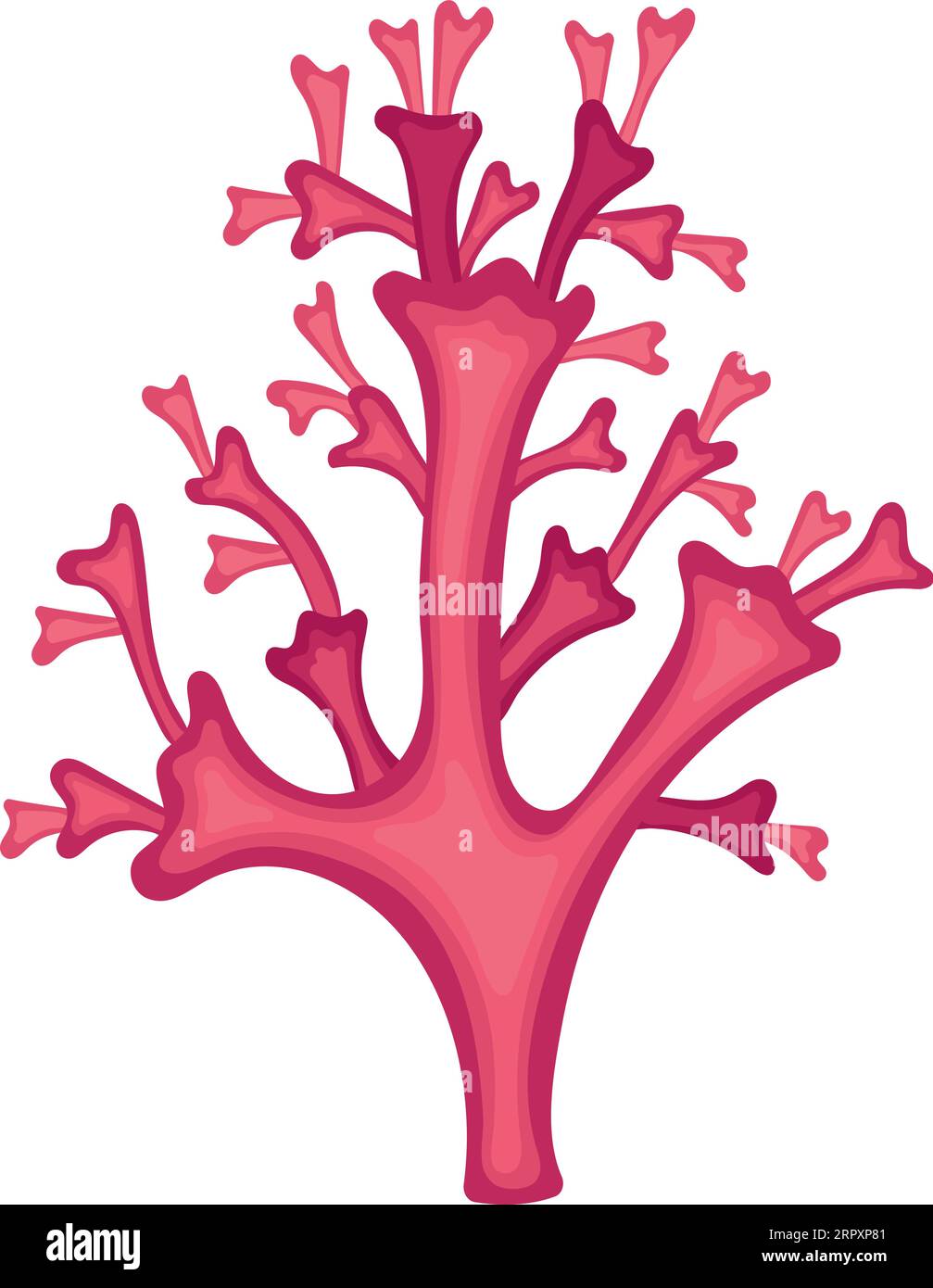 Red coral branch. Deep ocean reef fauna Stock Vector Image & Art - Alamy