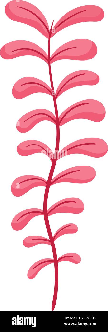Red algae. Cartoon sea botany. Water plant Stock Vector Image & Art - Alamy
