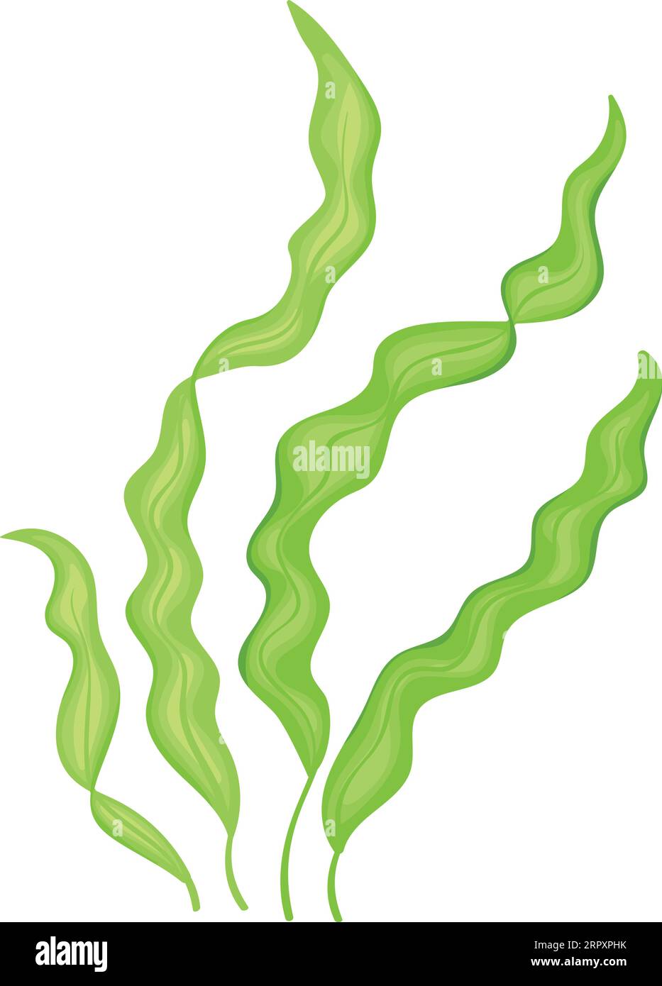 Brown algae beach Cut Out Stock Images & Pictures - Alamy