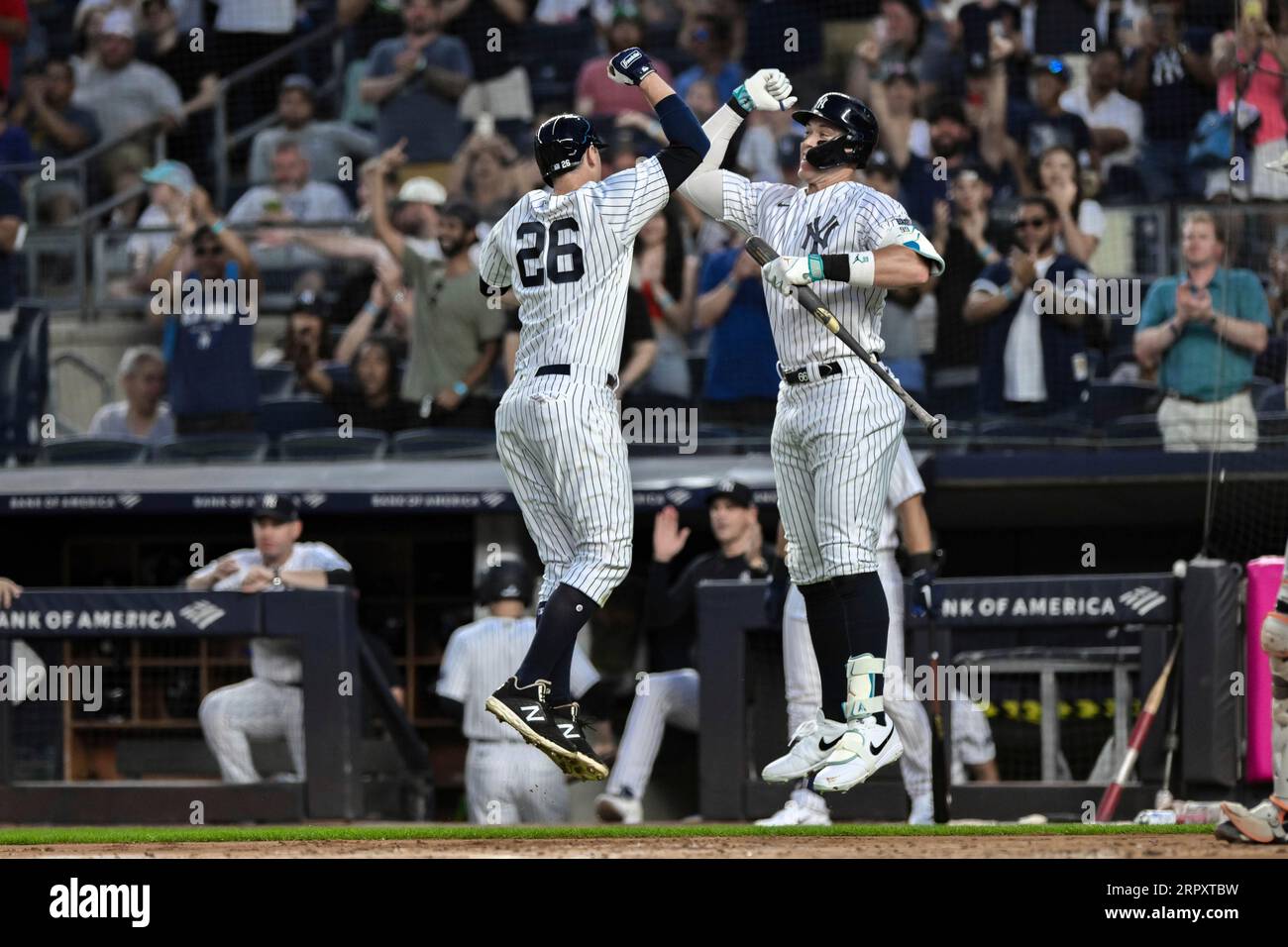 BRONX, NY - SEPTEMBER 05: New York Yankees third baseman DJ LeMahieu ...