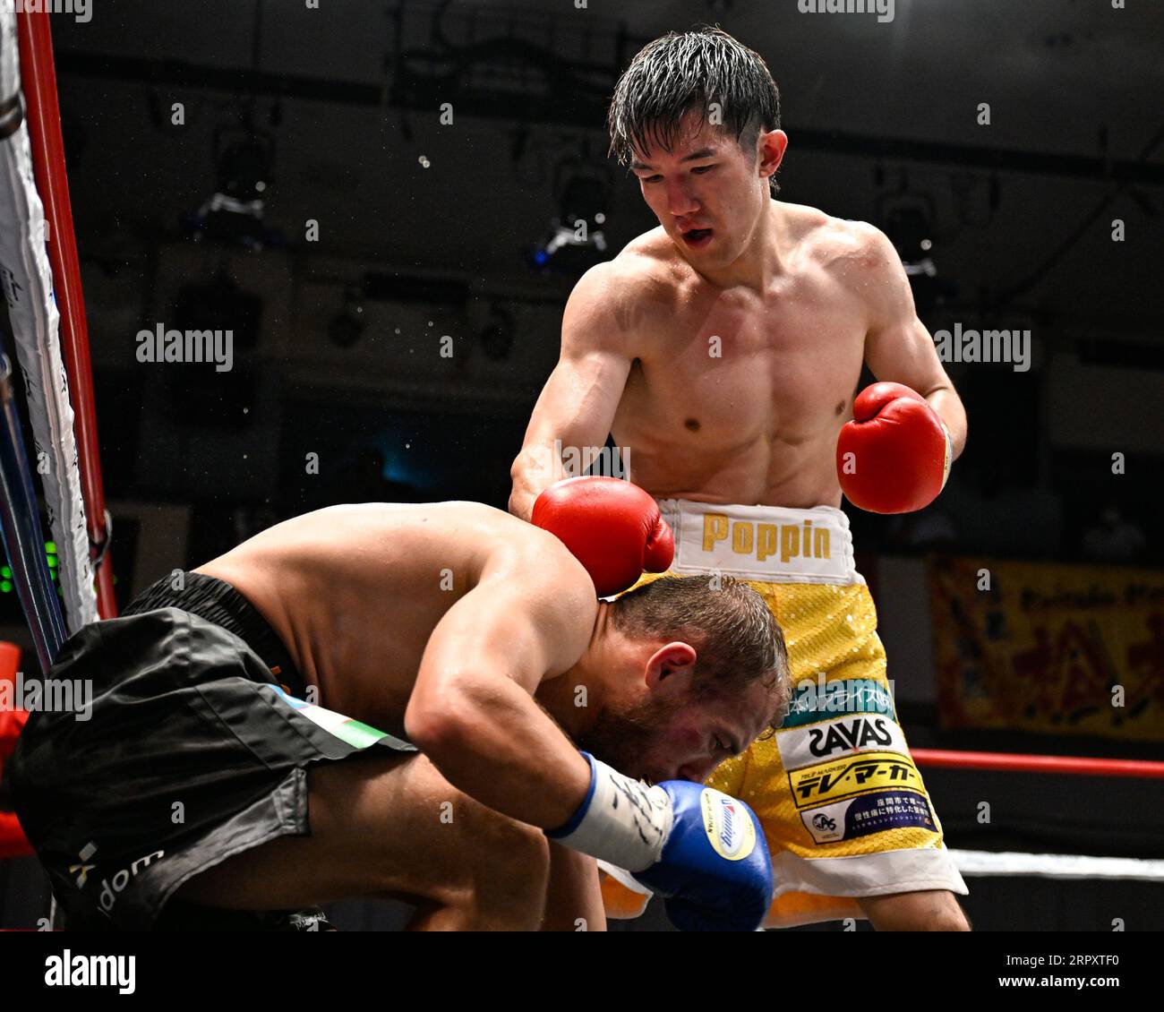 Tokyo, Japan. 30th Aug, 2023. Japan's Koki Inoue (red gloves) knocks ...