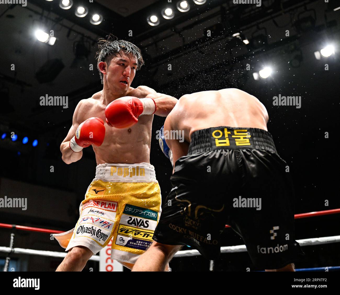 Tokyo, Japan. 30th Aug, 2023. Japan's Koki Inoue (red gloves) throws a left at Uzbekistan's ...