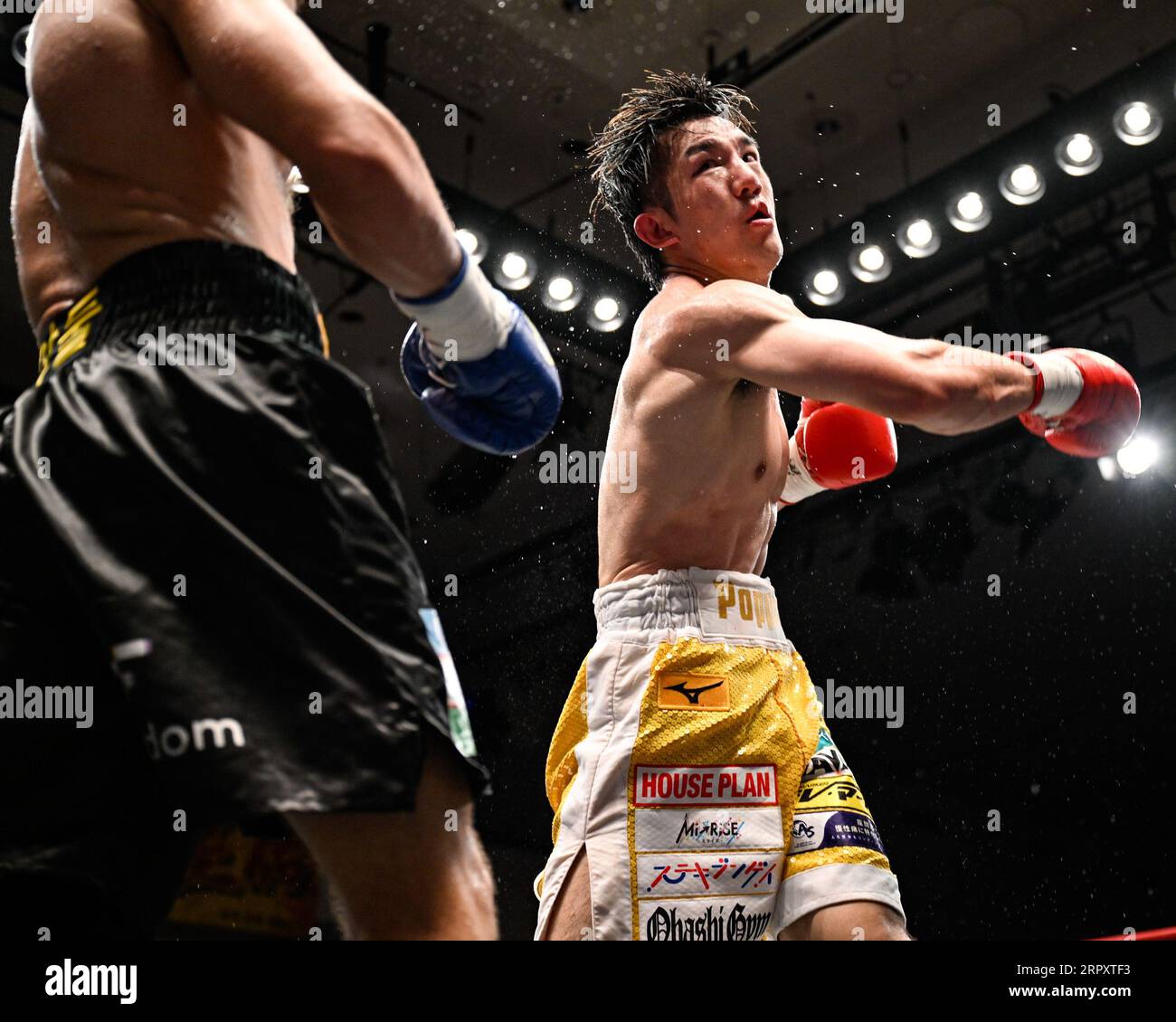Tokyo, Japan. 30th Aug, 2023. Japan's Koki Inoue (red gloves) throws a right at Uzbekistan's ...