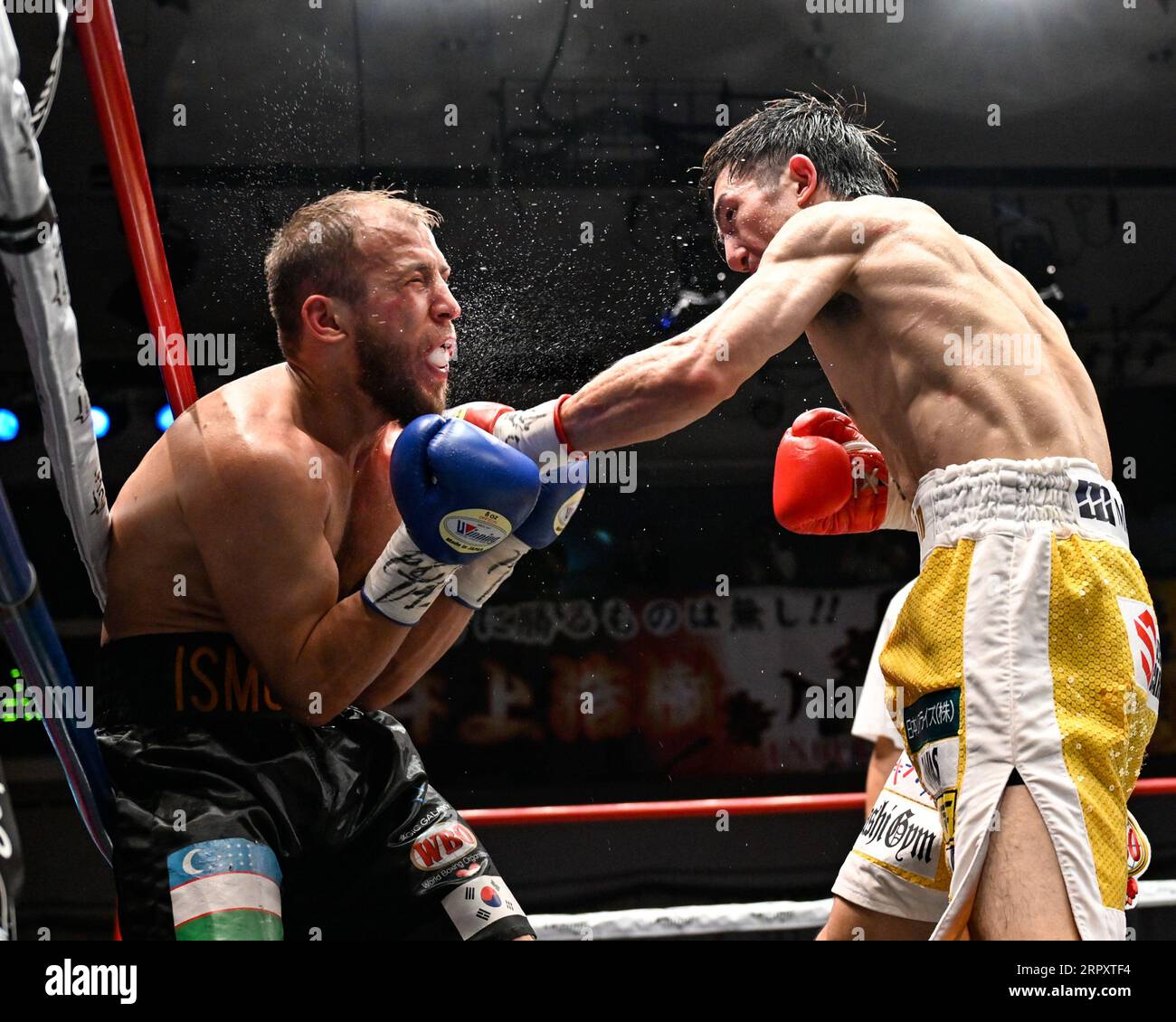 Tokyo, Japan. 30th Aug, 2023. Japan's Koki Inoue (red gloves) hits ...