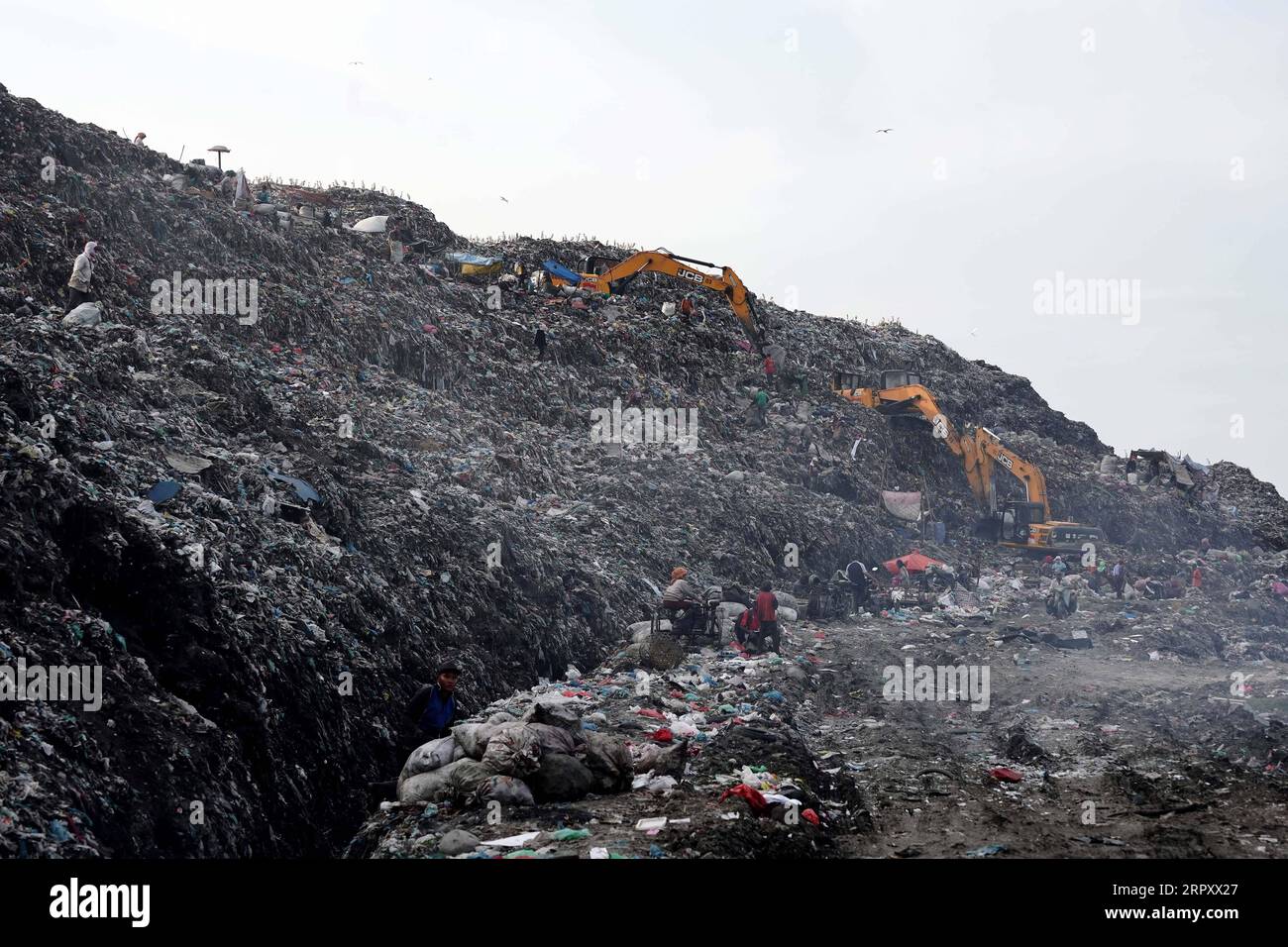 200604 -- BEIJING, June 4, 2020 -- Photo taken on June 2, 2020 shows a ...
