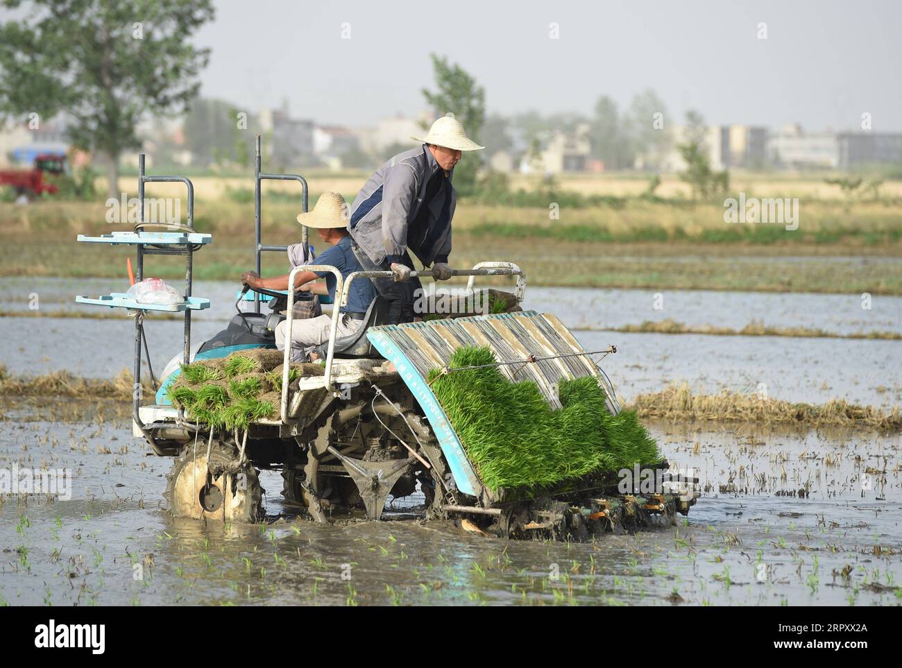 Paddy transplanter hi-res stock photography and images - Alamy