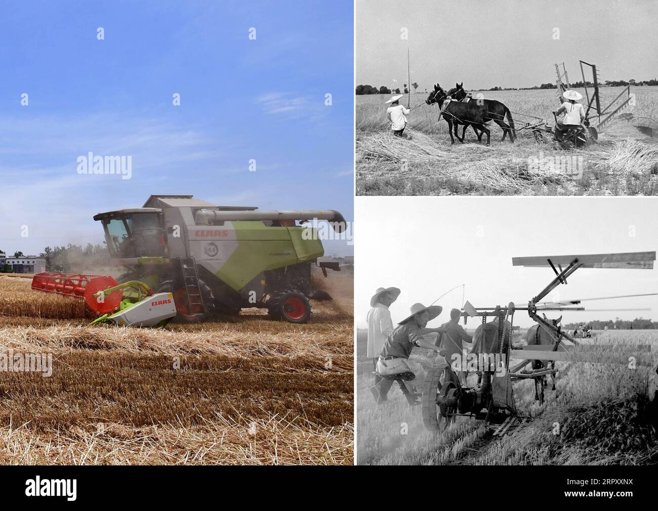 Horse drawn harvester hi-res stock photography and images - Alamy