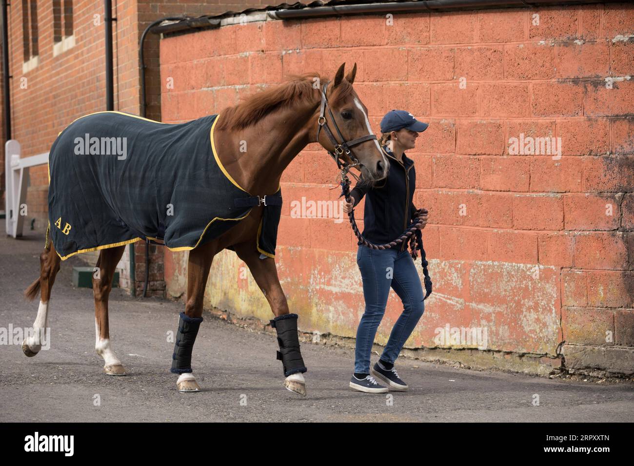 Stables staff hi-res stock photography and images - Alamy