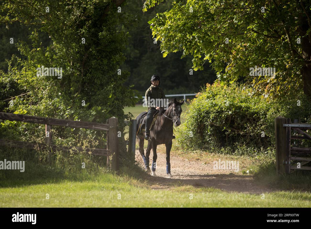 Kingsclere stables hi-res stock photography and images - Alamy