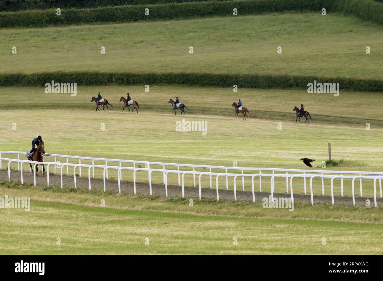 Kingsclere stables hi-res stock photography and images - Alamy