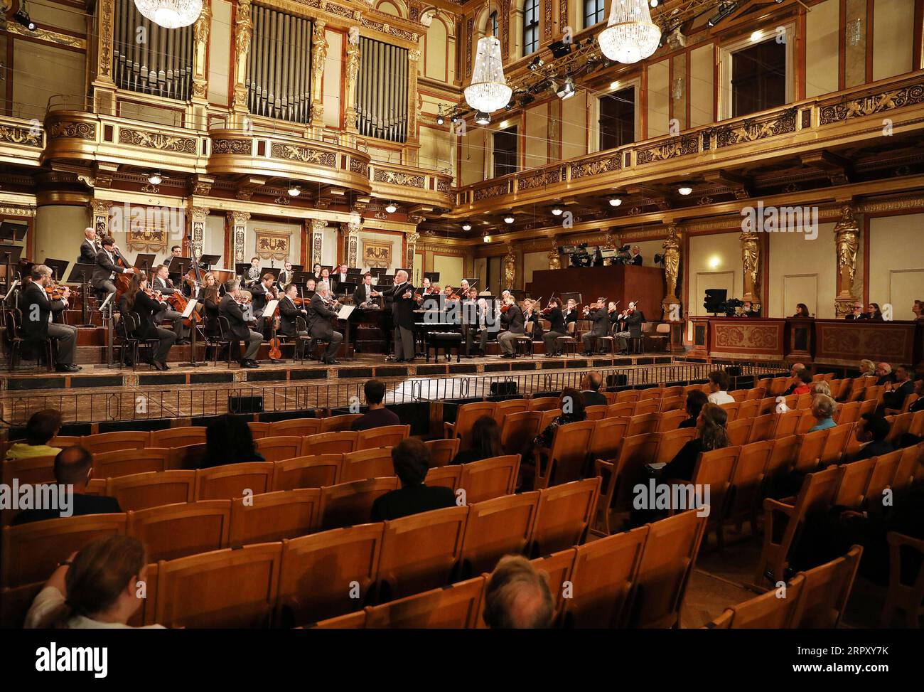 Musikverein golden hall hi-res stock photography and images - Alamy