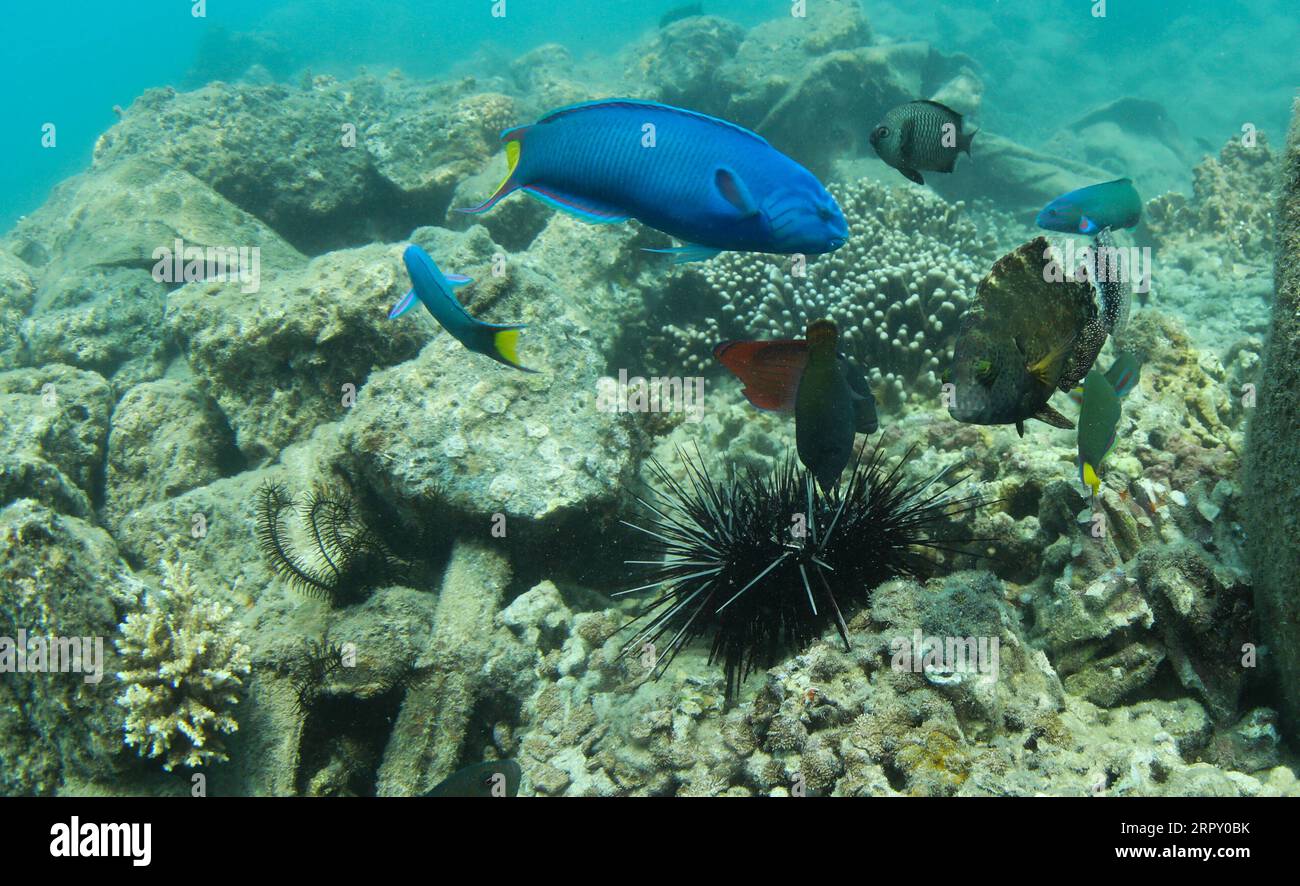 Types of ship hi-res stock photography and images - Alamy