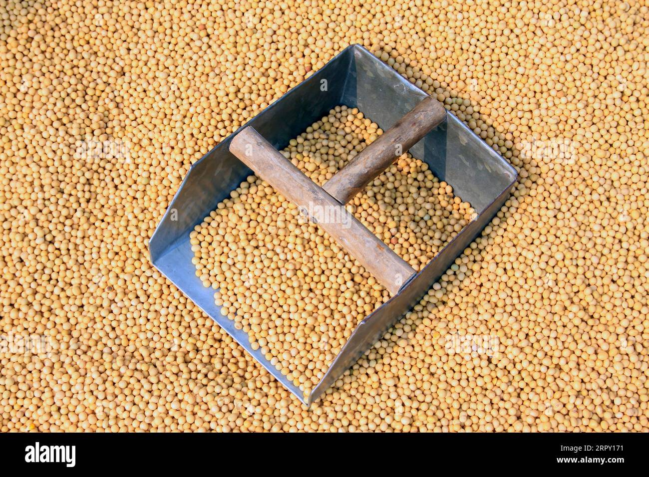 Soybean storage hi-res stock photography and images - Alamy
