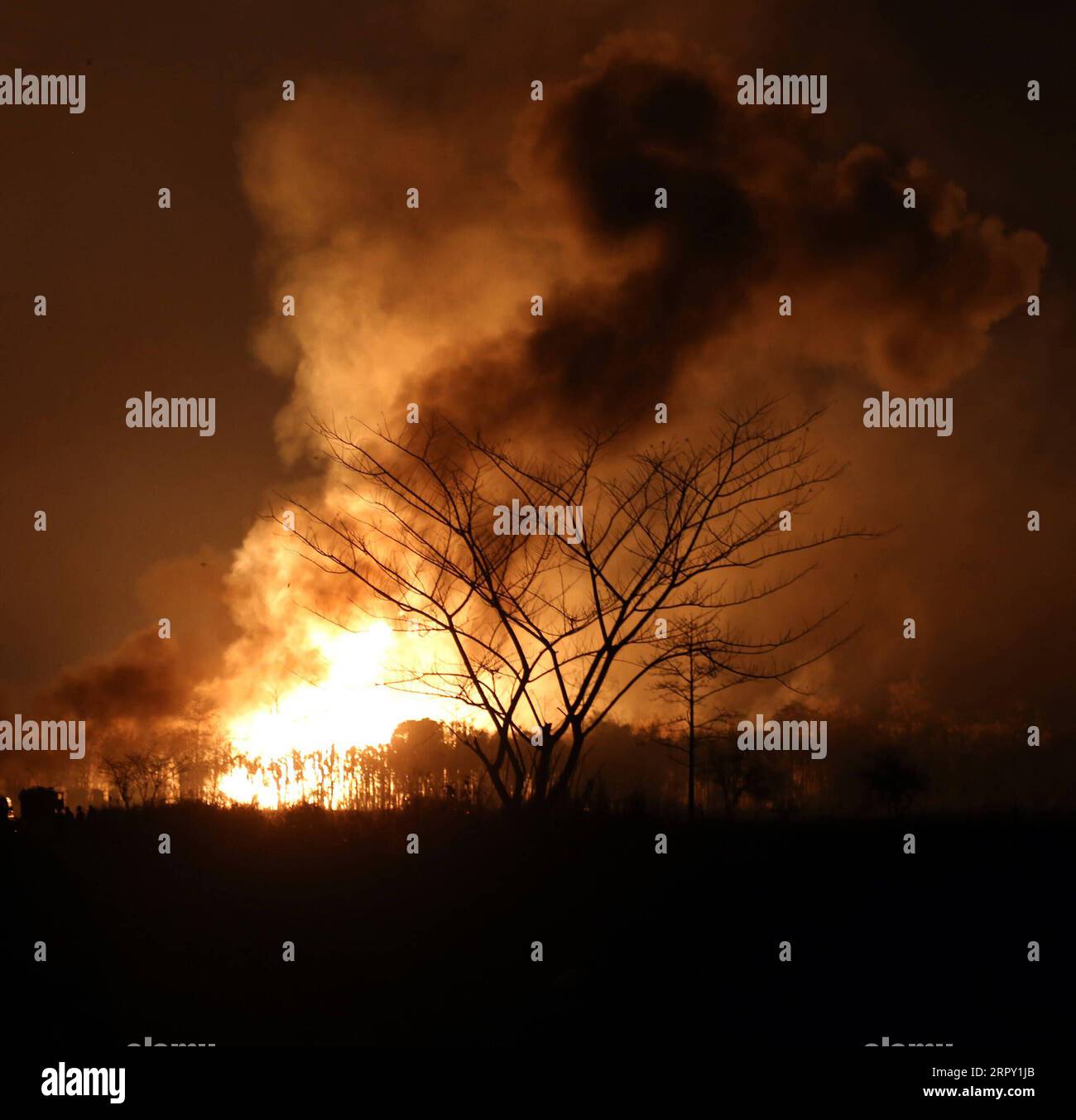 200610 -- ASSAM, June 10, 2020 -- Photo taken on June 9, 2020 shows ...