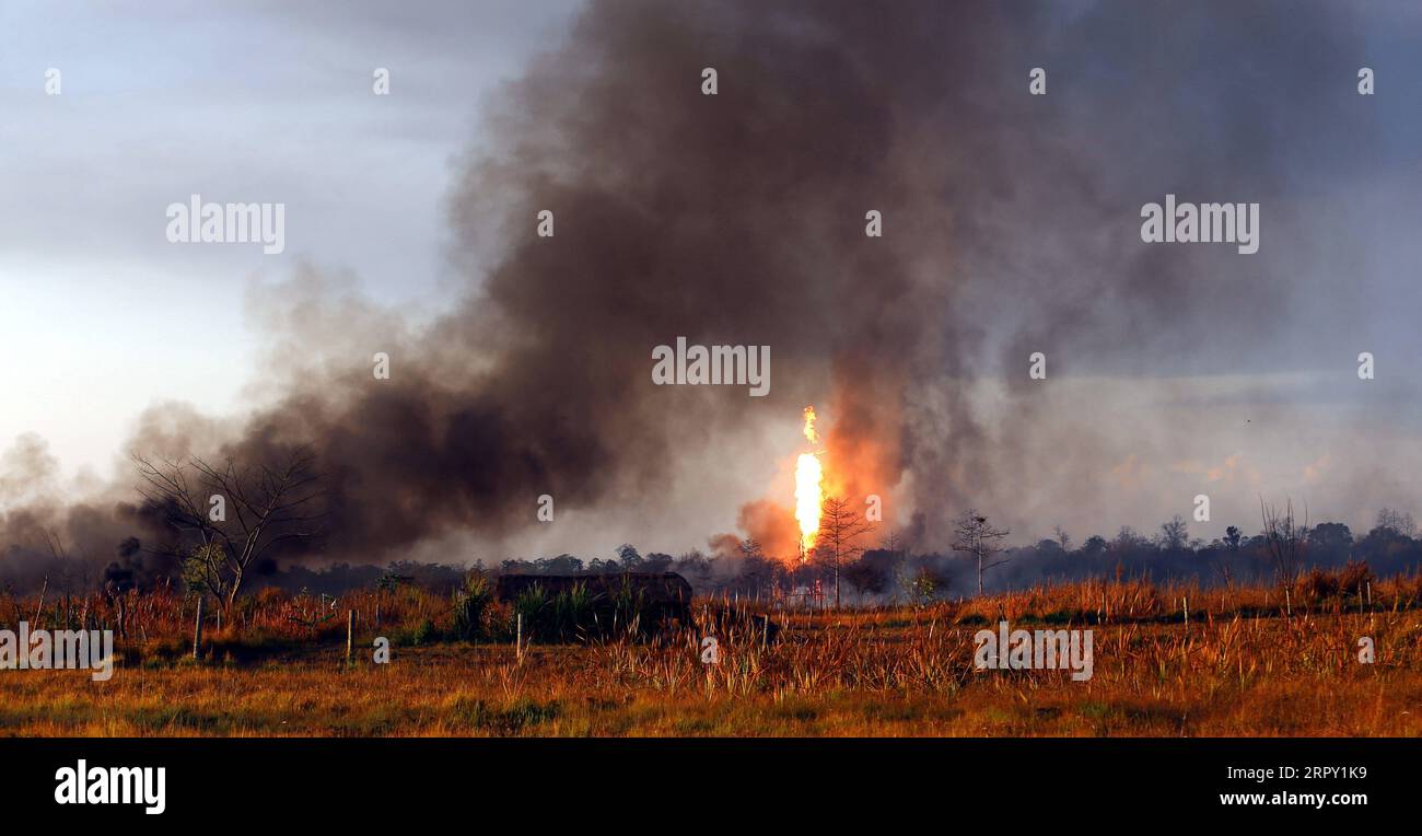 India asam oil hi-res stock photography and images - Alamy