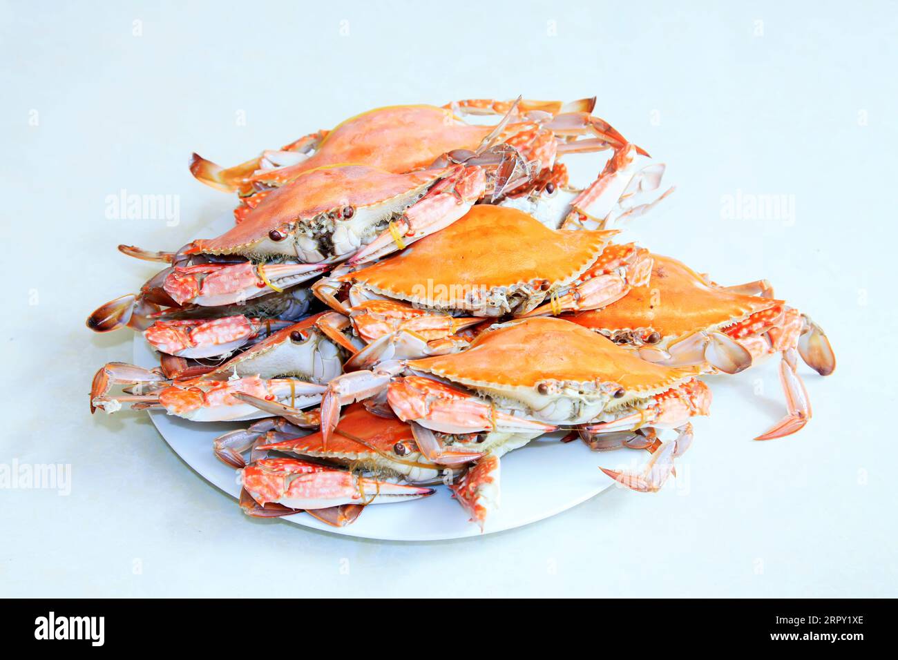 Crab bone hi-res stock photography and images - Alamy