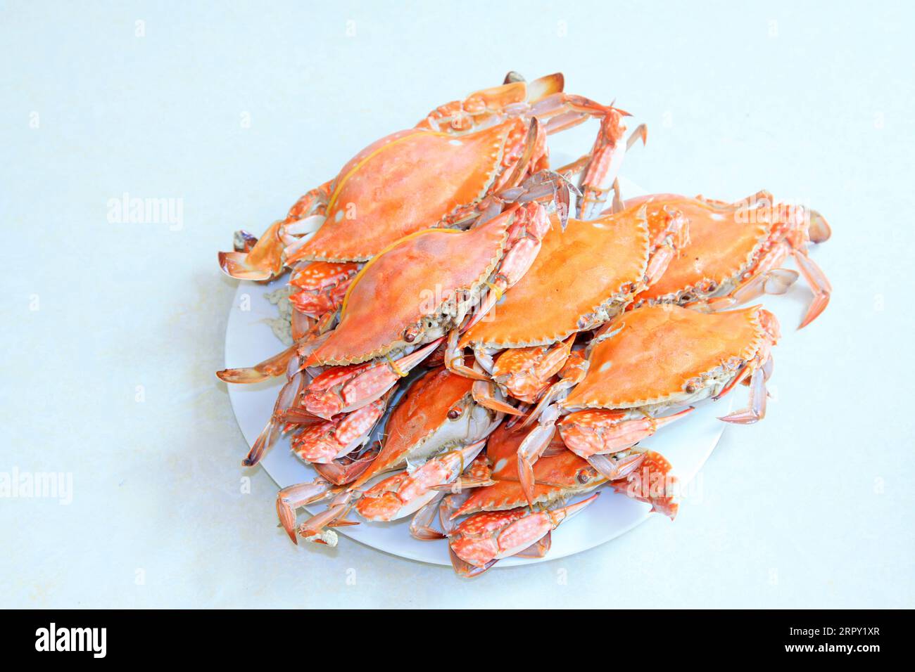Cooked crab in the dish, closeup of photo Stock Photo - Alamy