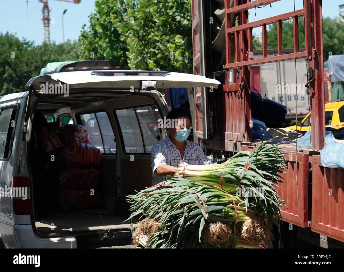 Whoesle hi-res stock photography and images - Alamy