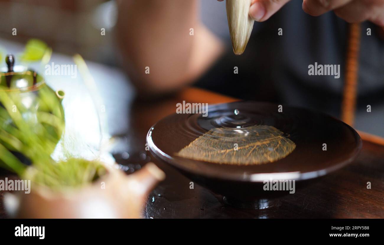 Eight identical leaves hi-res stock photography and images - Alamy