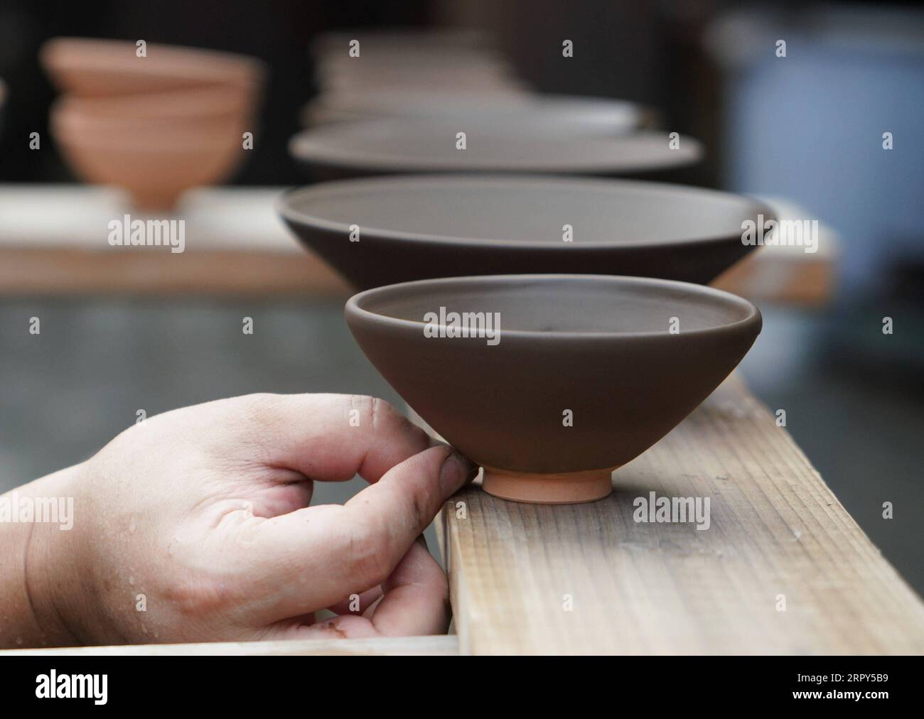 Eight identical leaves hi-res stock photography and images - Alamy