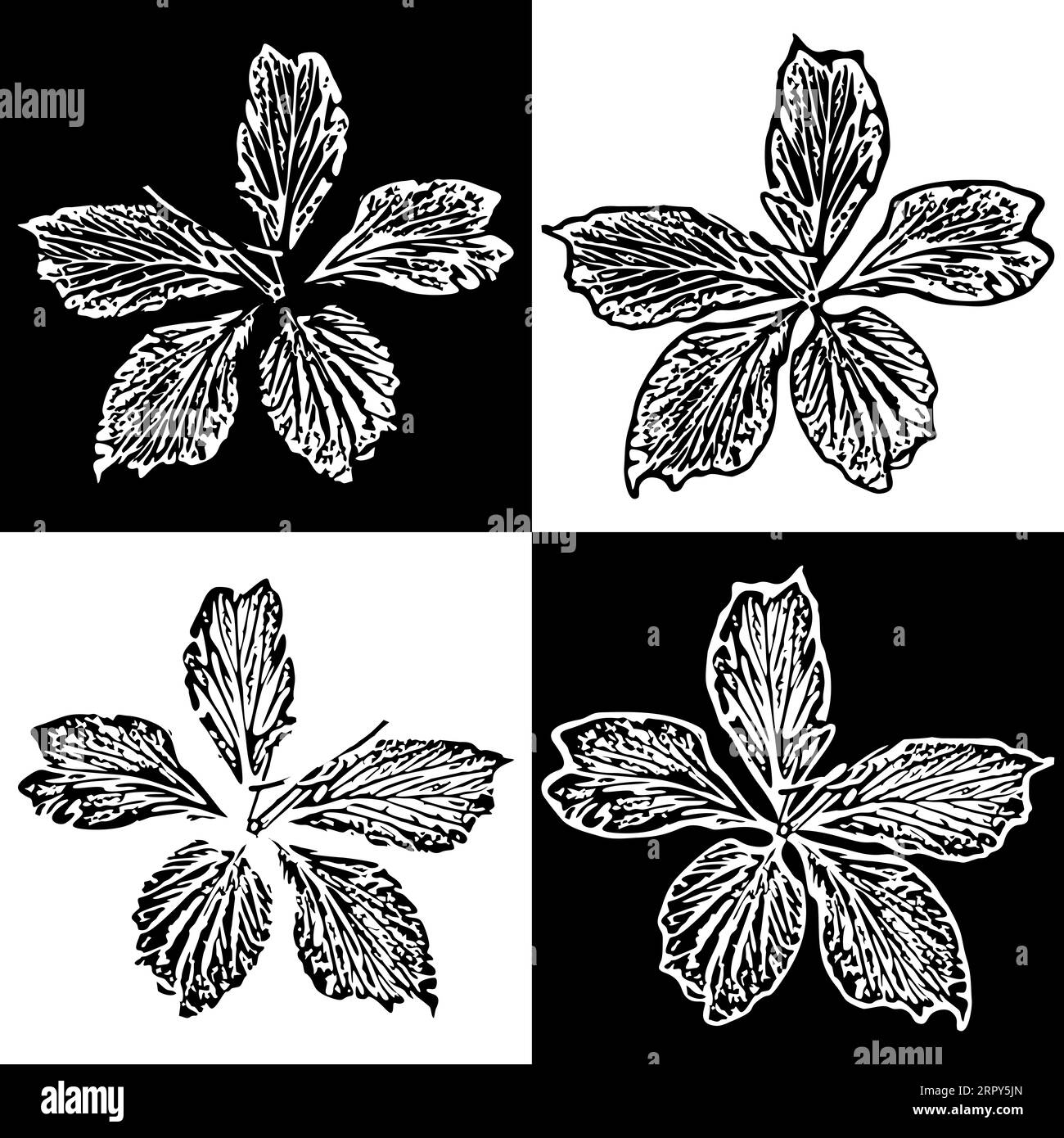 Illustration of textured flowers in black and white, positive and ...
