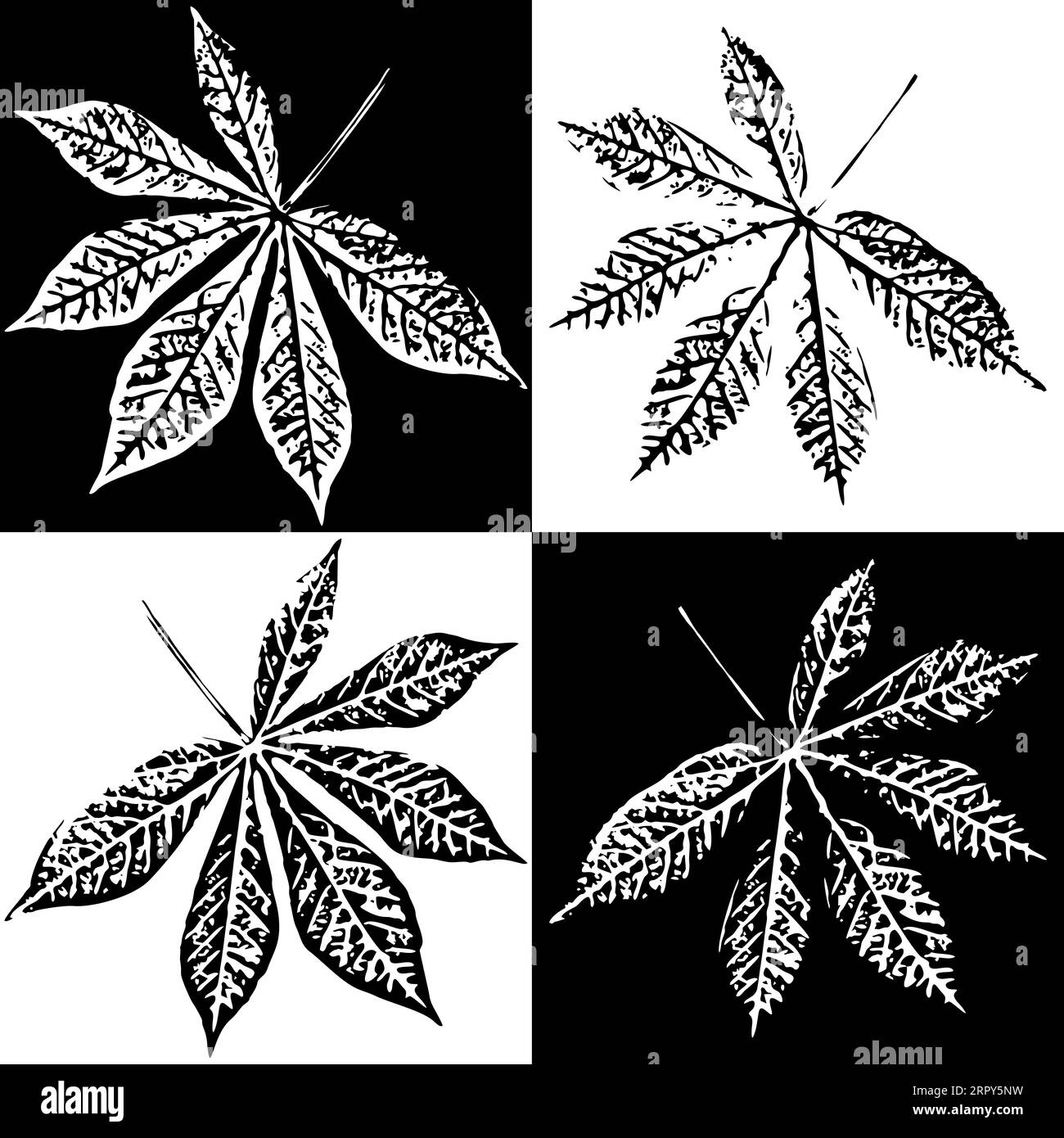 Illustration of textured leaves in black and white, positive and ...