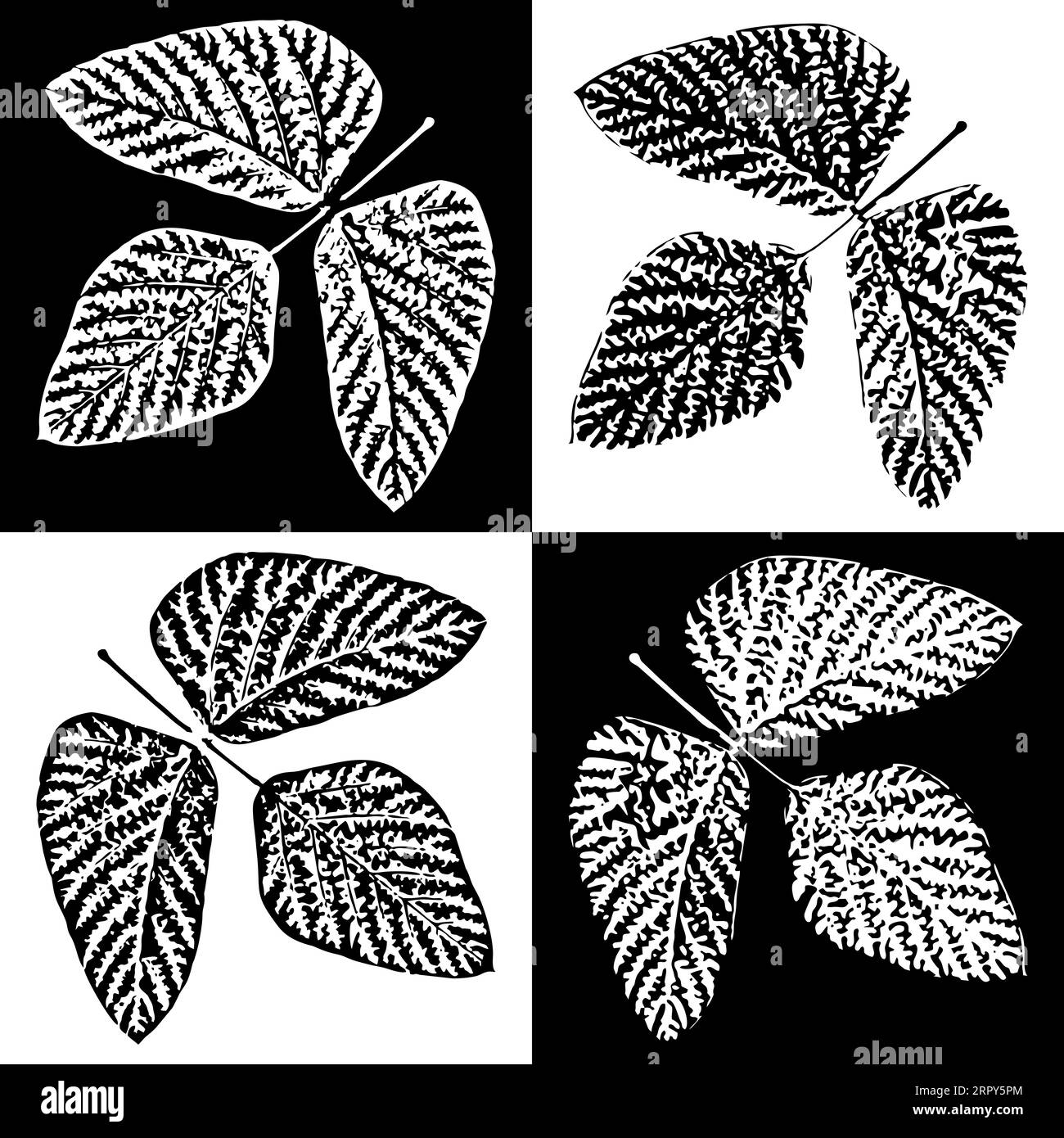 Illustration of textured leaves in black and white, positive and ...