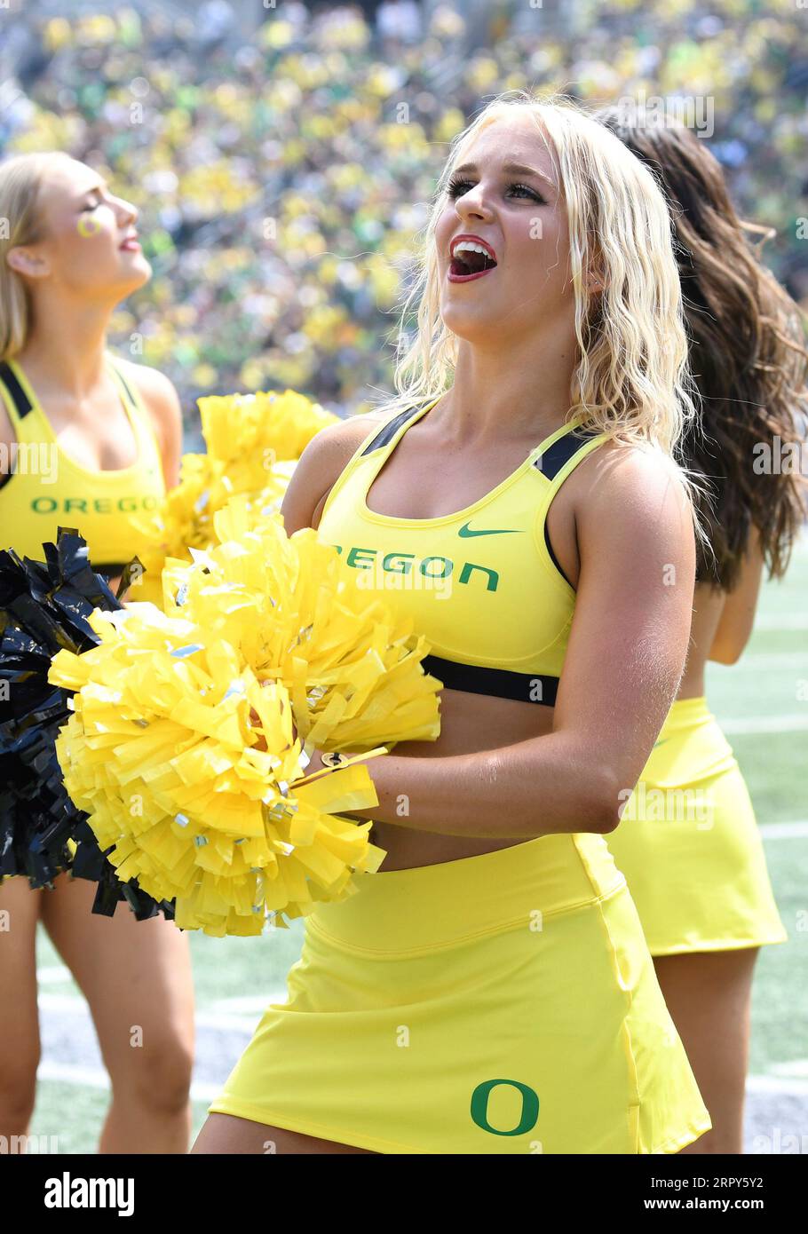 EUGENE, OR - SEPTEMBER 02: An Oregon Ducks cheerleader performs during ...