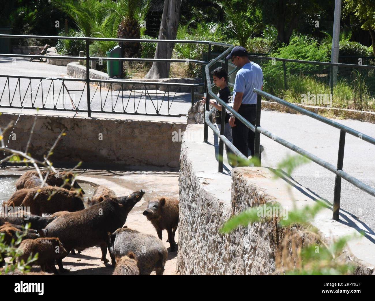 Belvedere zoo hi-res stock photography and images - Alamy