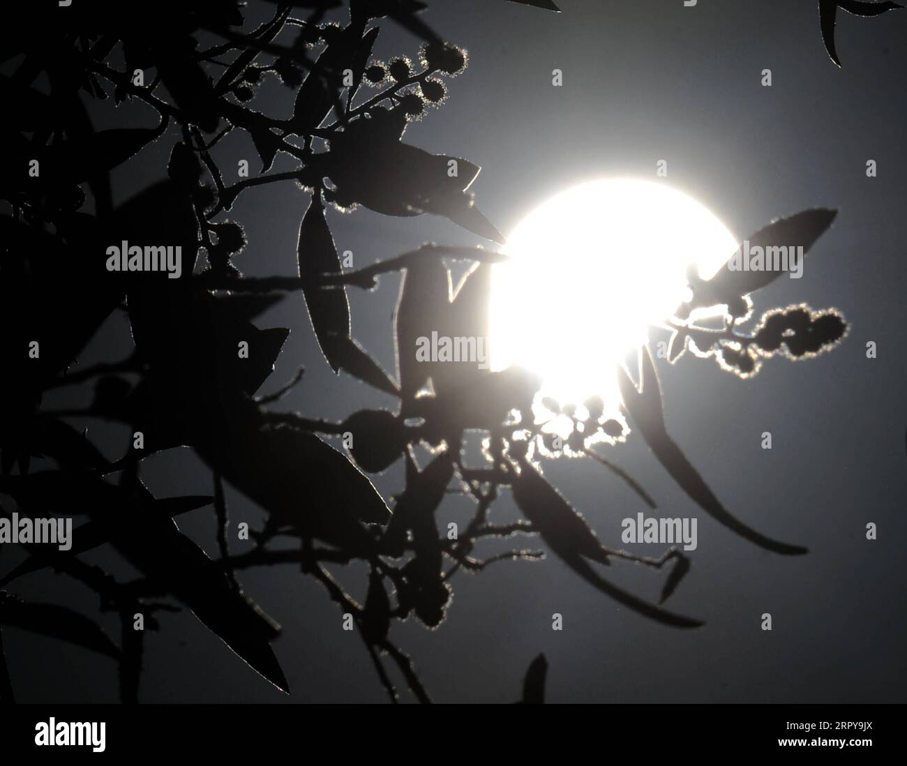 200621 -- KUWAIT CITY, June 21, 2020 -- Photo taken on June 21, 2020 shows a partial solar ...