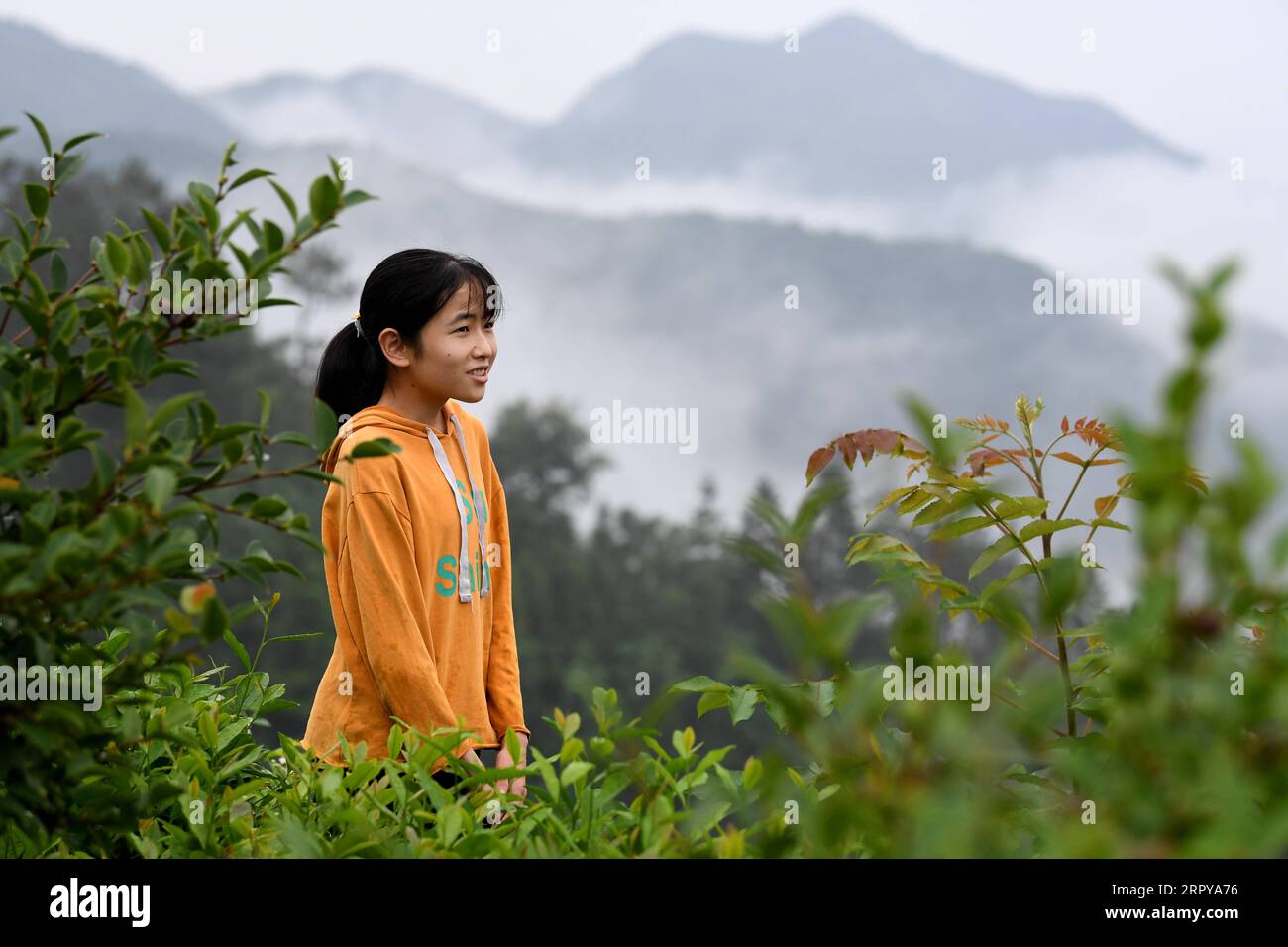 Back of 15 year old at school hi-res stock photography and images - Alamy