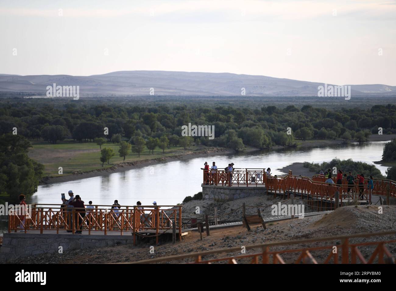 Burqin hi-res stock photography and images - Alamy