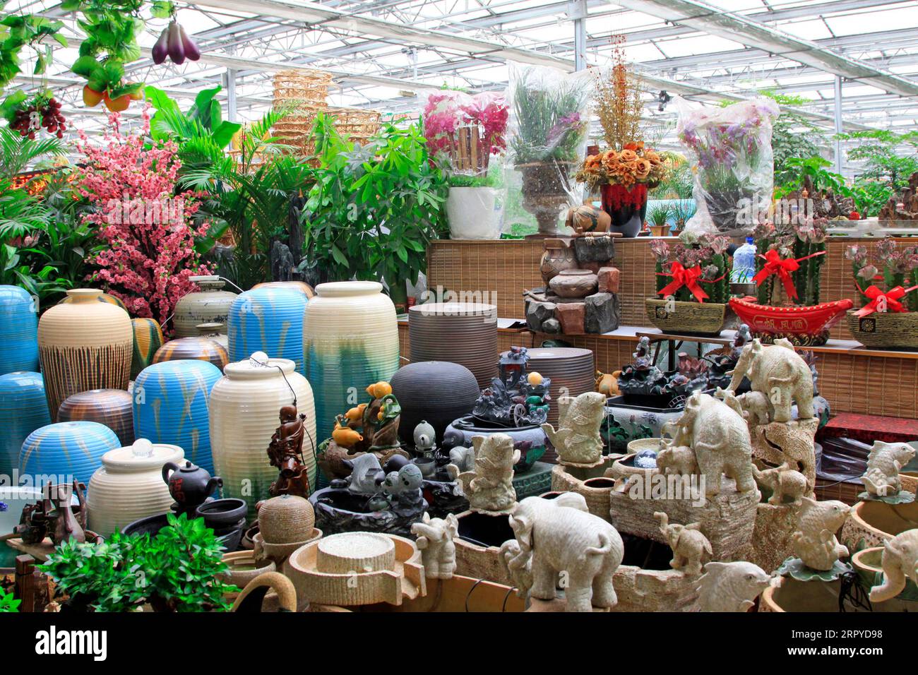 Exquisite shapes hi-res stock photography and images - Alamy